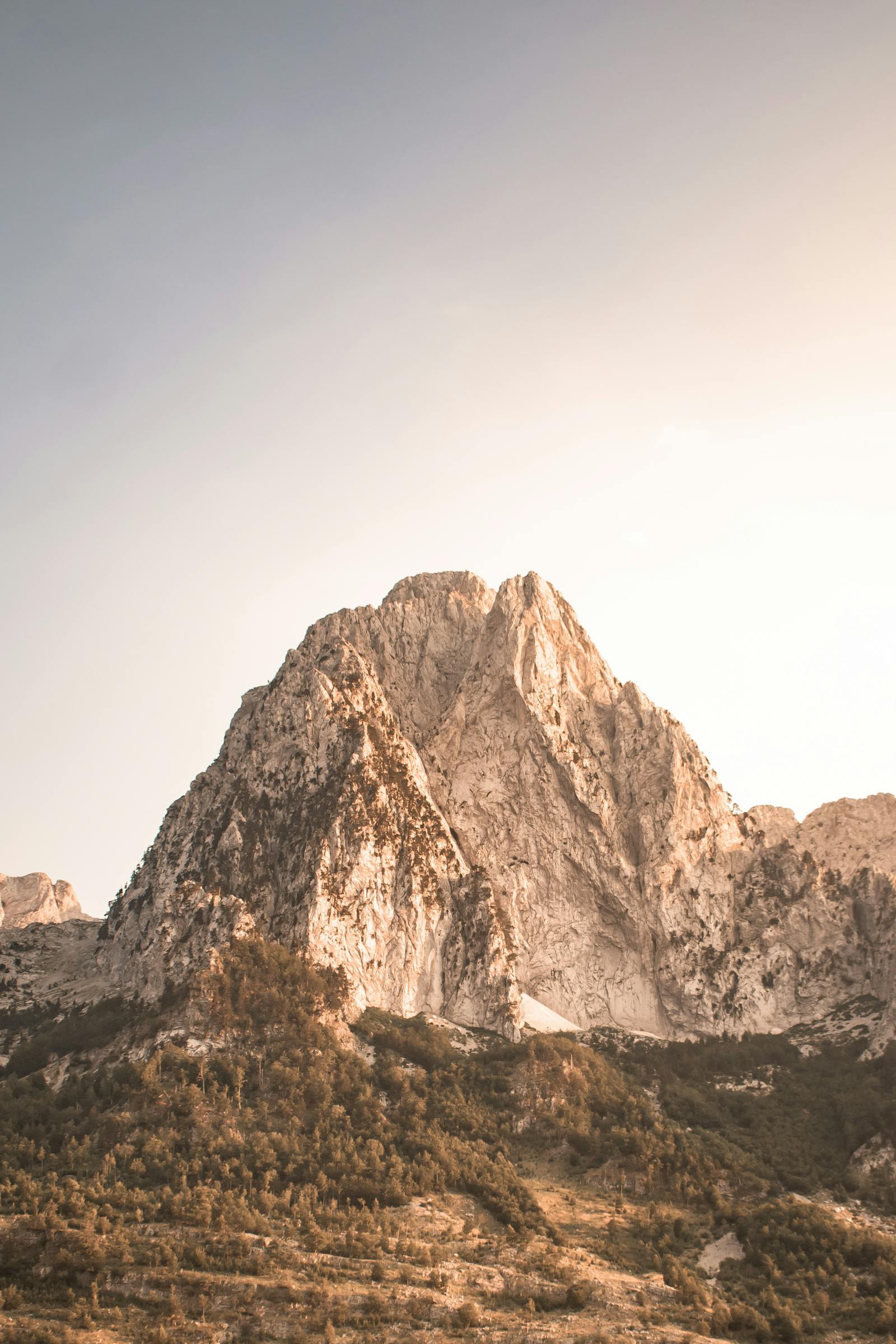 Free Photos Photos, Download The BEST Free Free Photos Stock Photos ...