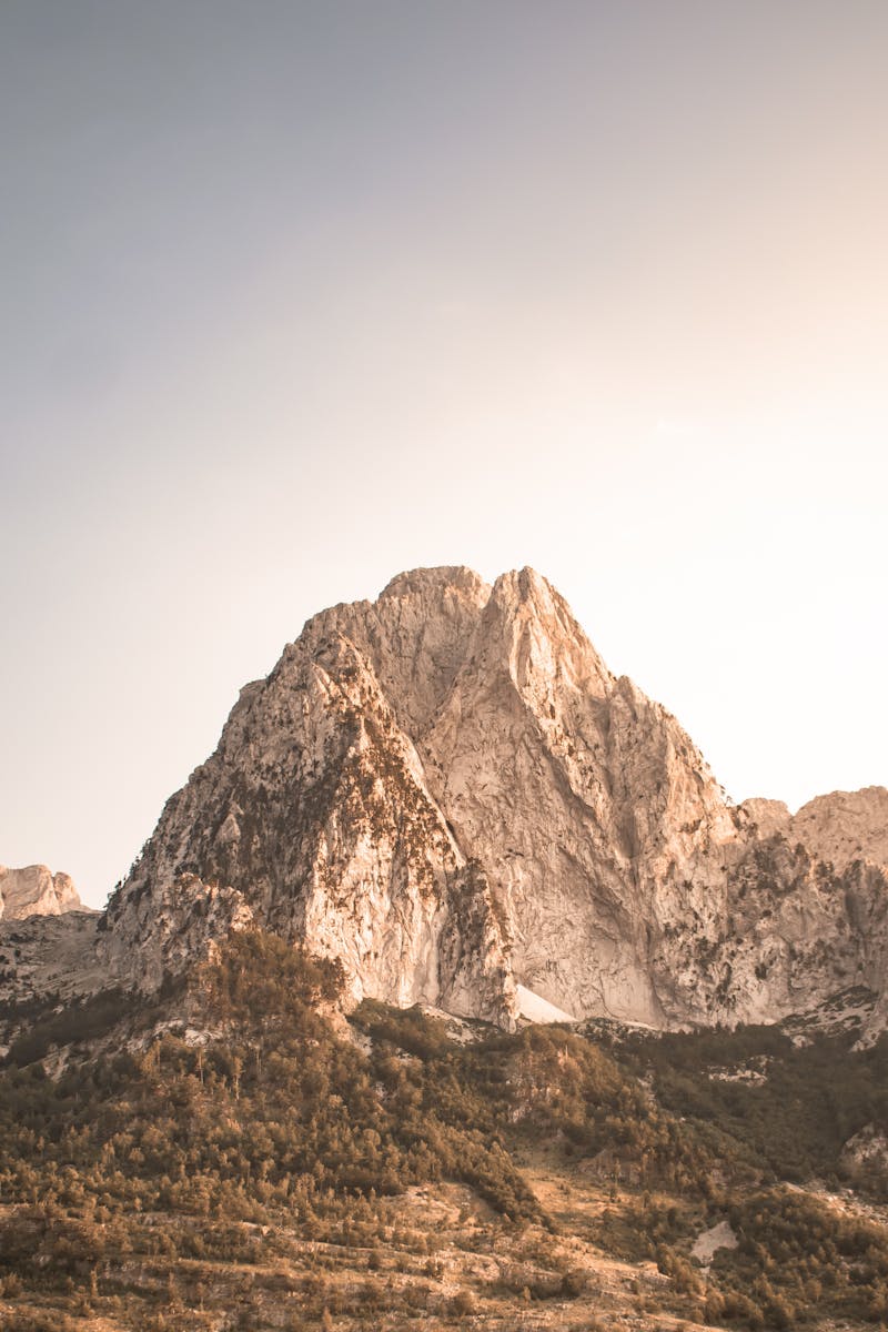 Free Photos Photos, Download The BEST Free Free Photos Stock Photos ...