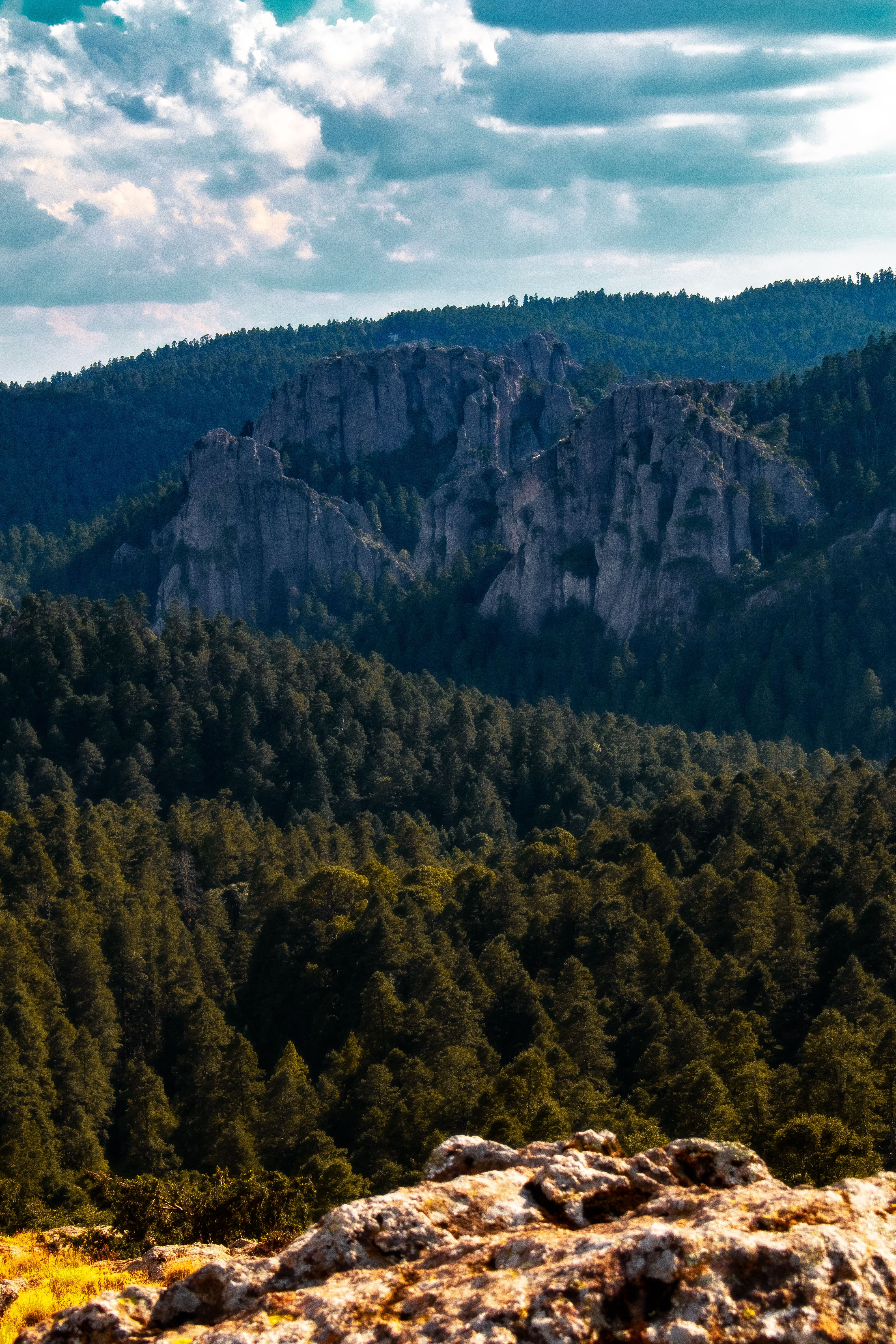 Clouds over Forest on Hills · Free Stock Photo