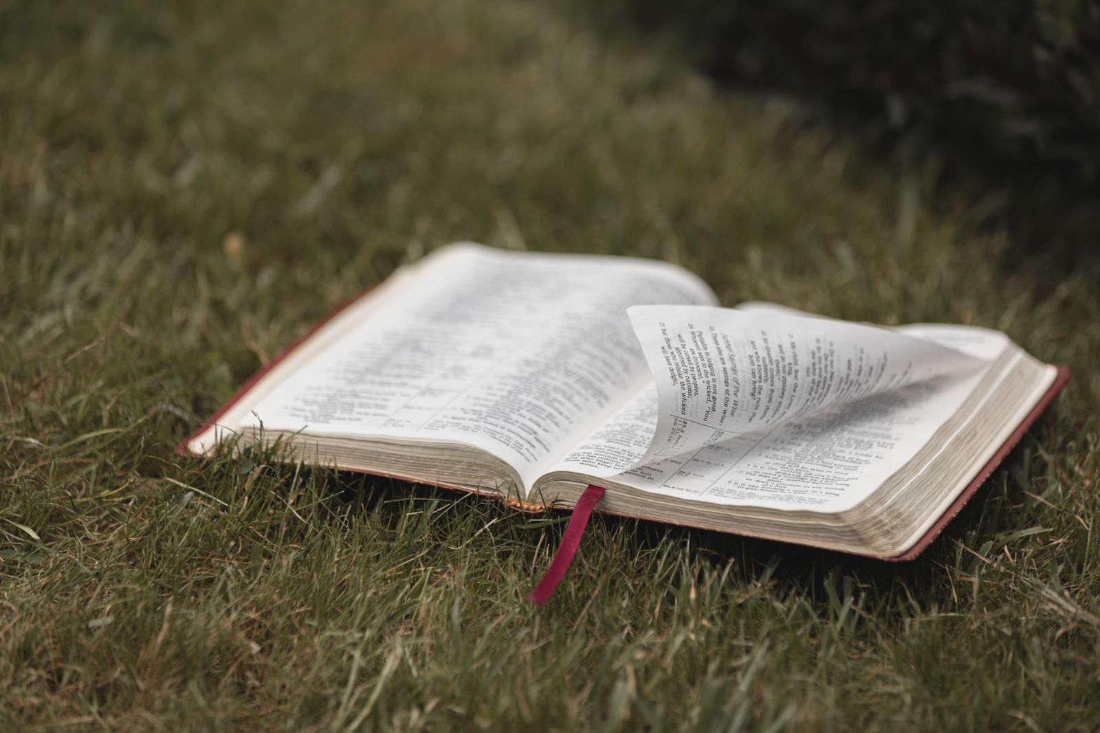 100 000+ Fond D'écran De La Bible banque d’images et photos libres de ...
