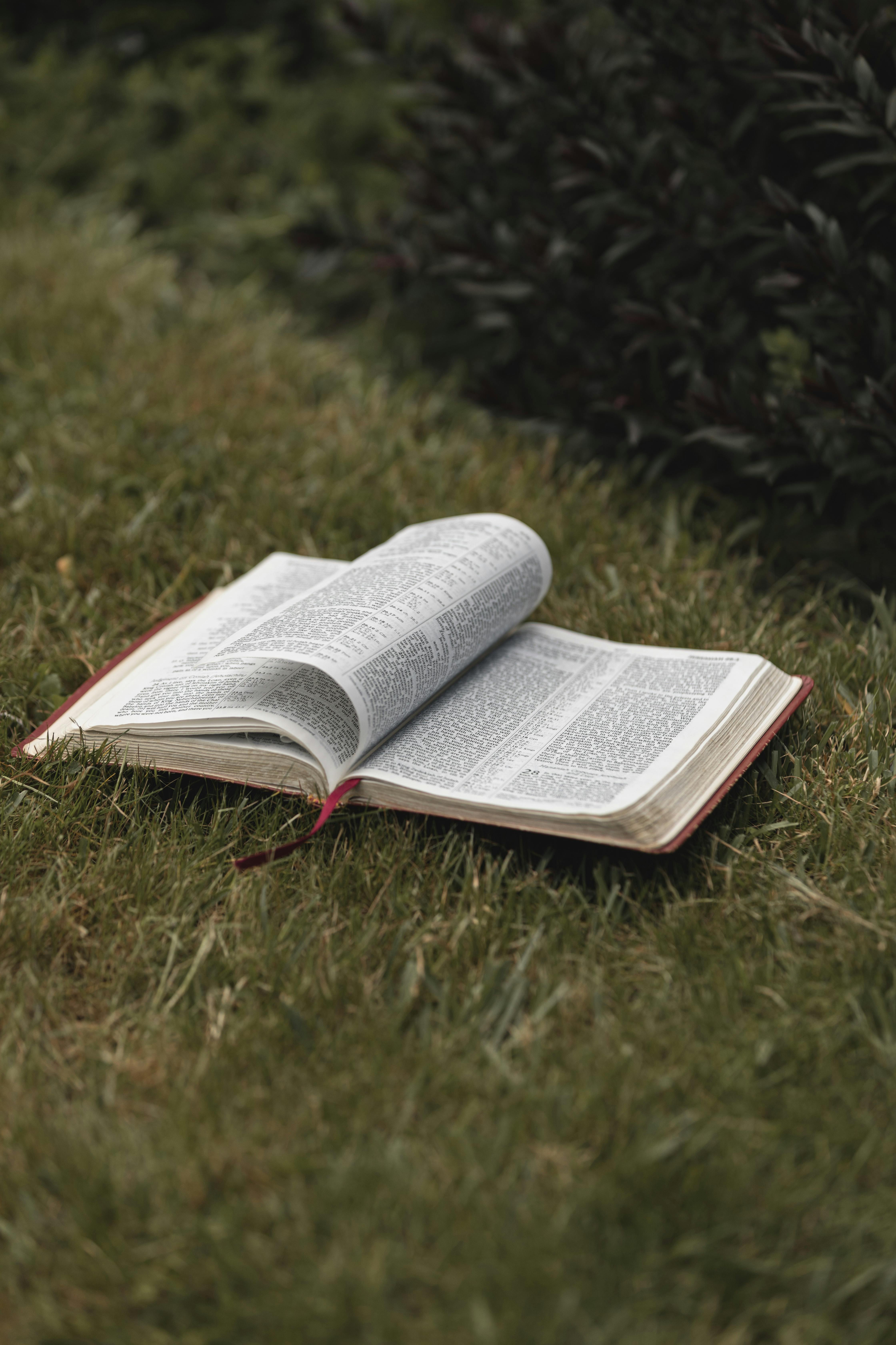 Book Pages · Free Stock Photo