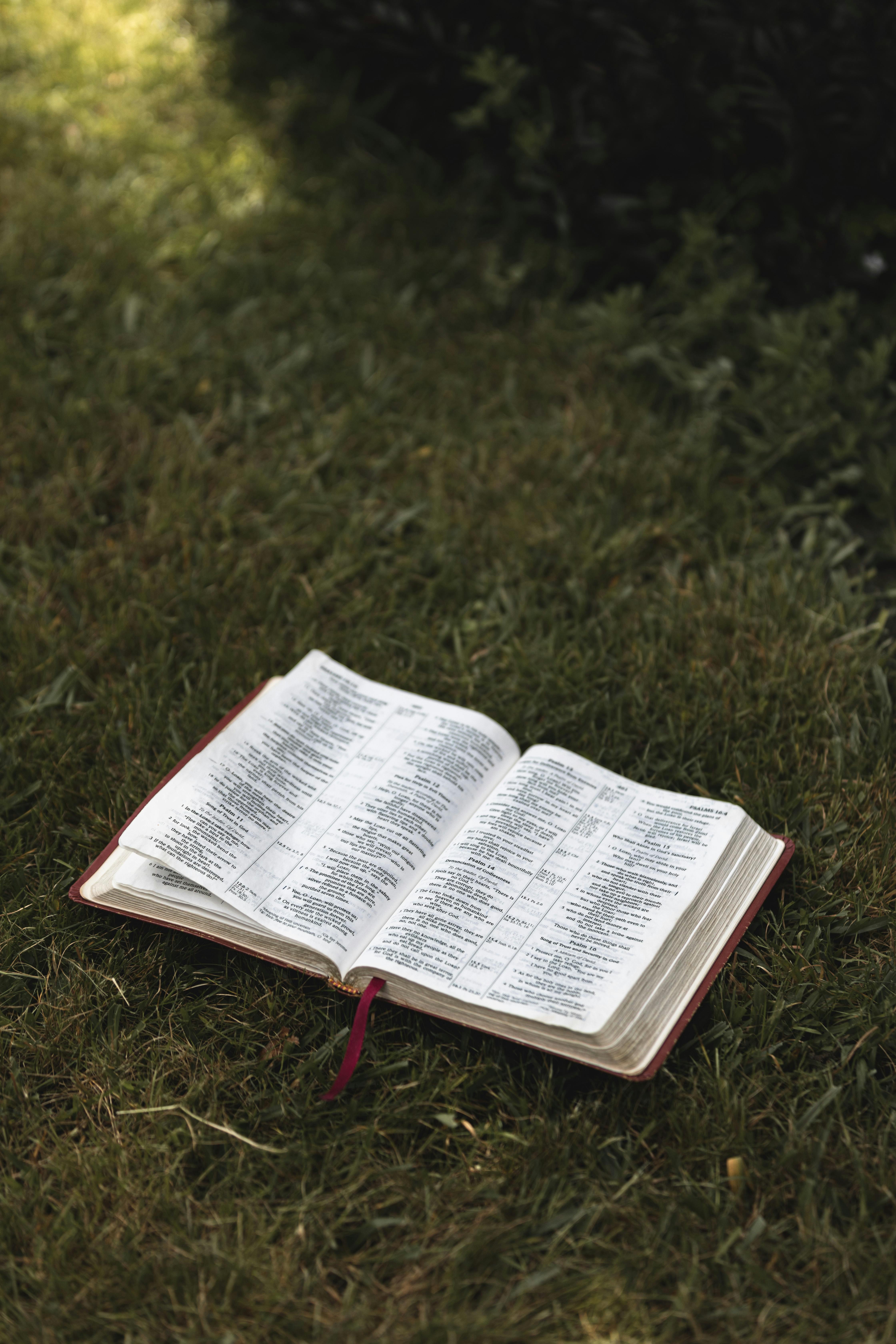 Open Bible on Green Grass · Free Stock Photo