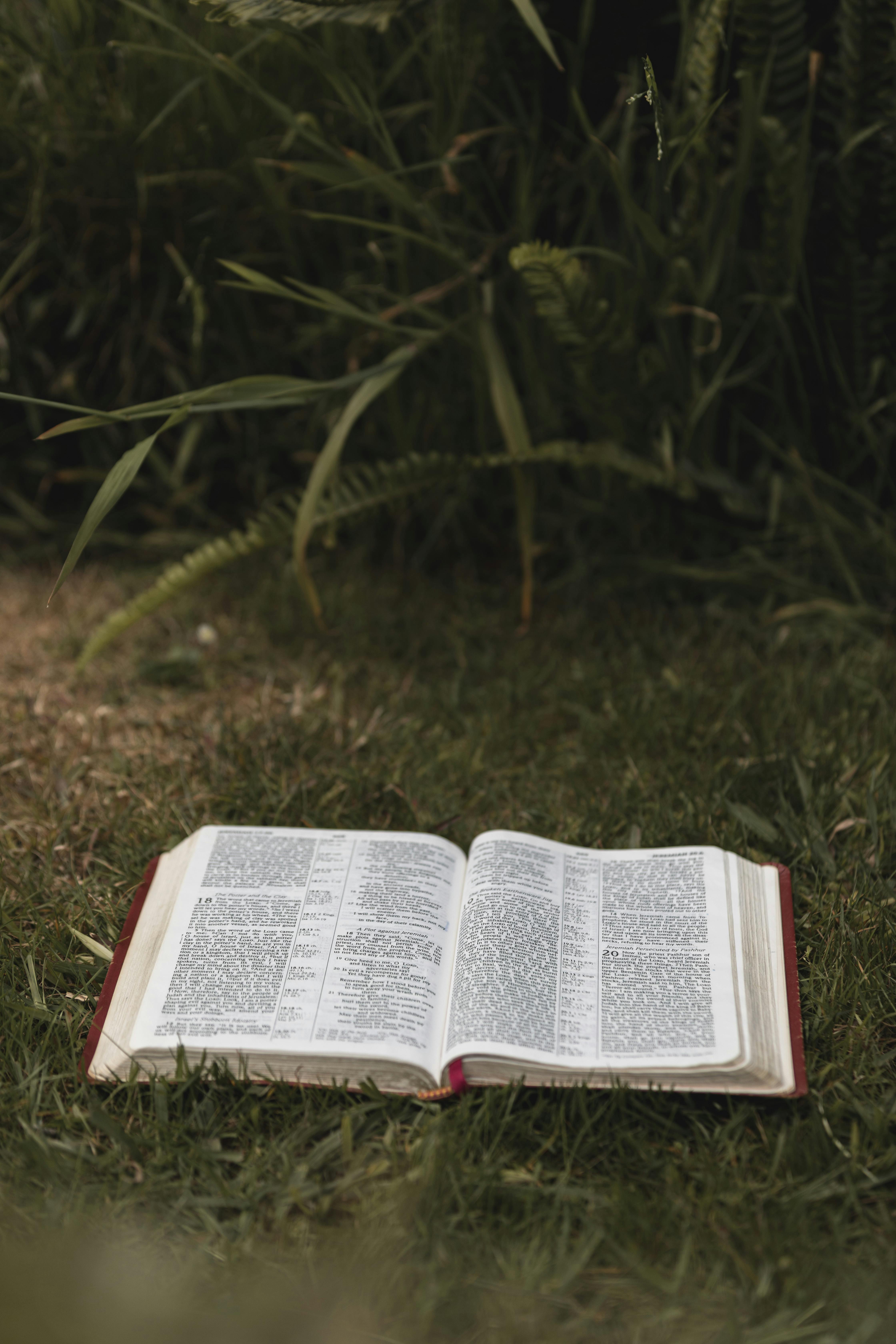 Book on Ground · Free Stock Photo