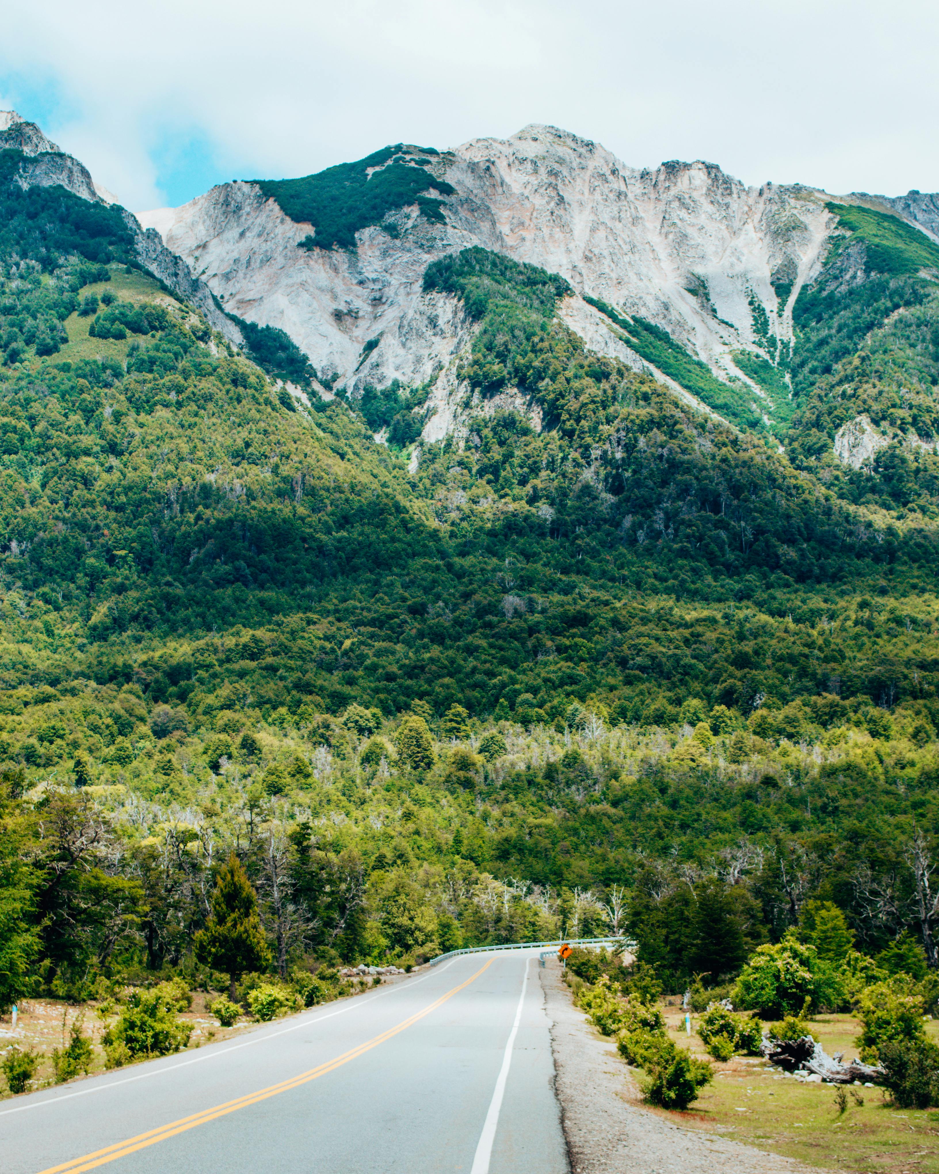 Forest Mountain Photos, Download The BEST Free Forest Mountain Stock ...