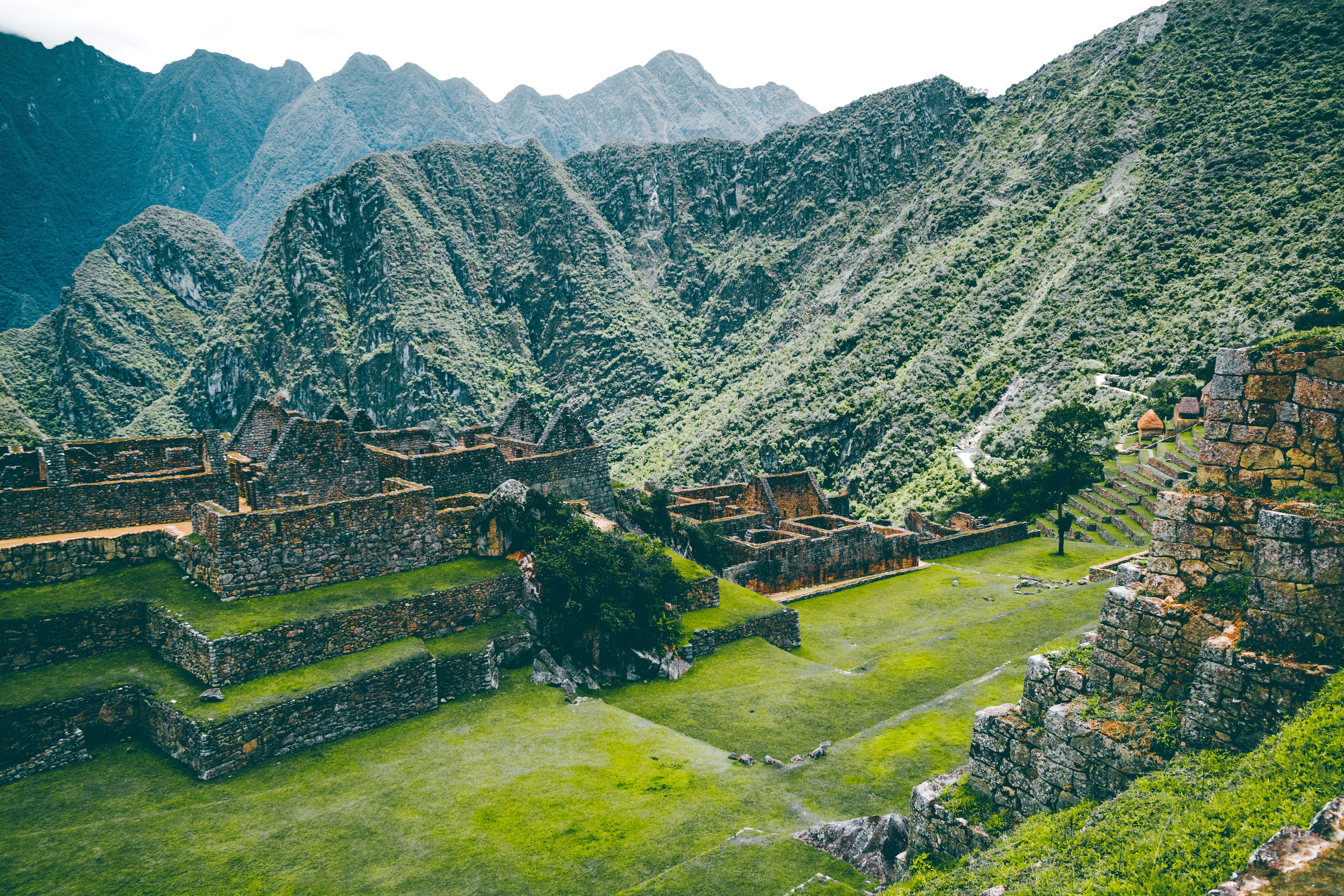 Picture Taken in Machu Picchu, Peru · Free Stock Photo