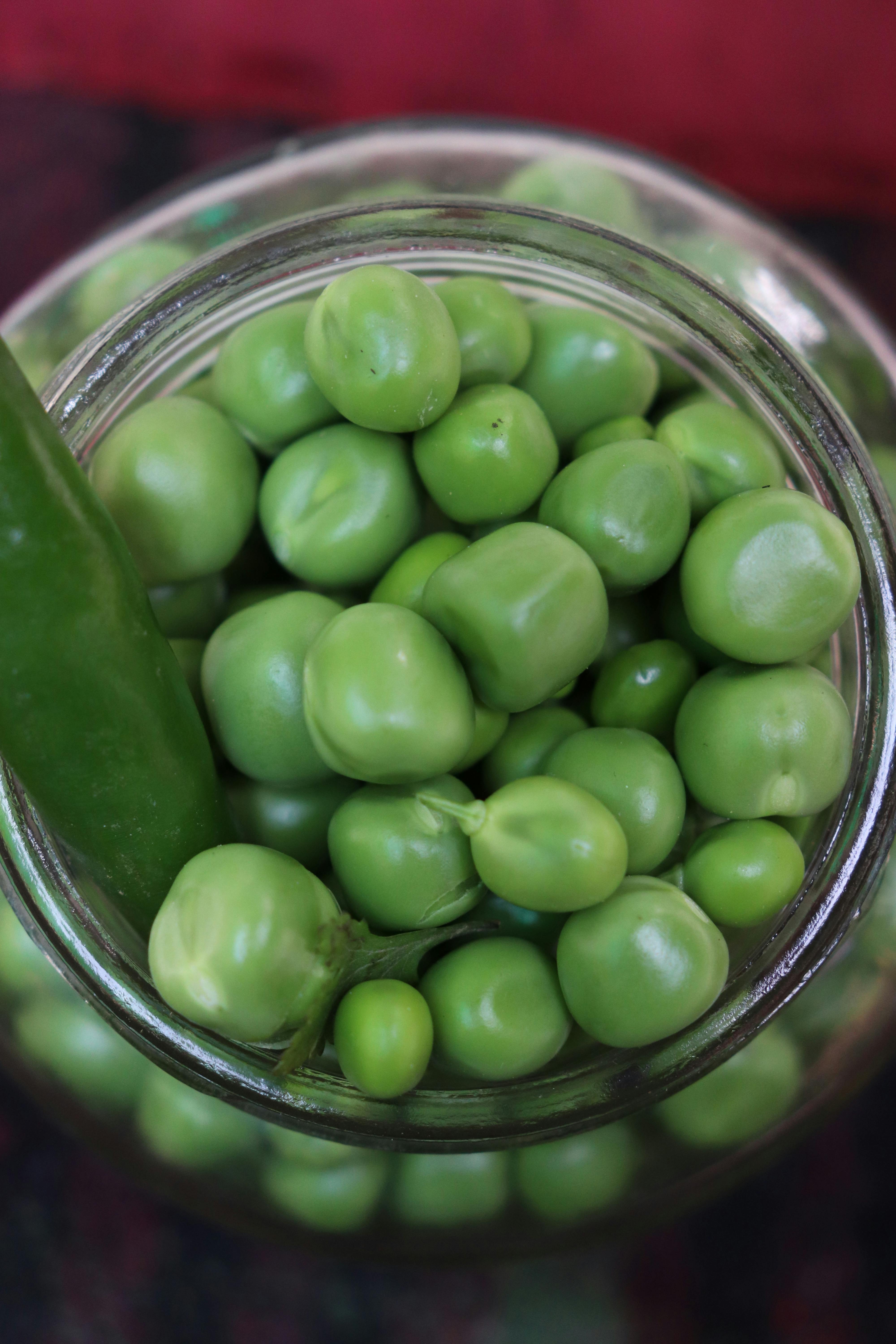 Green Peas in Jar · Free Stock Photo