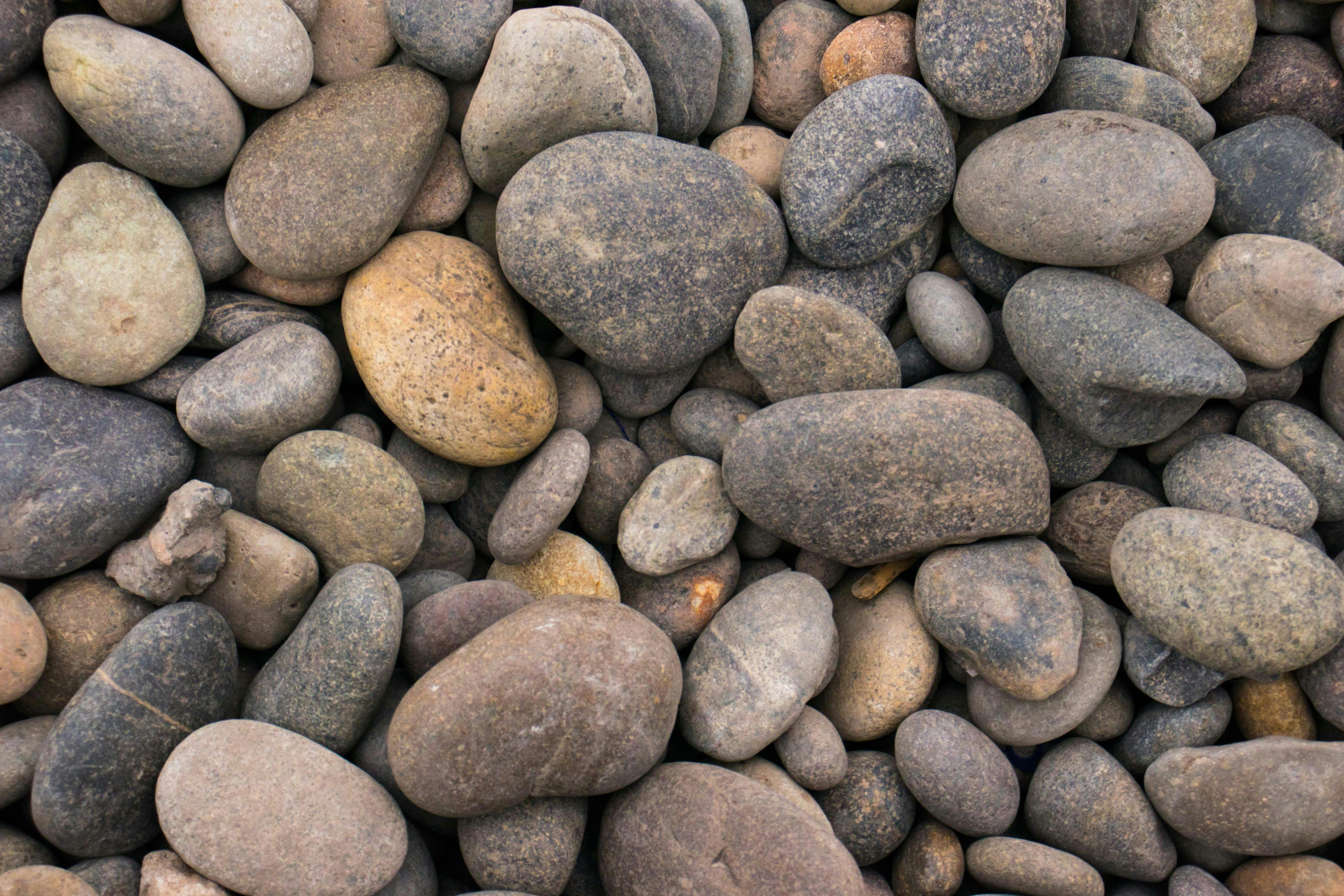 Close-Up Photo of Pebbles · Free Stock Photo