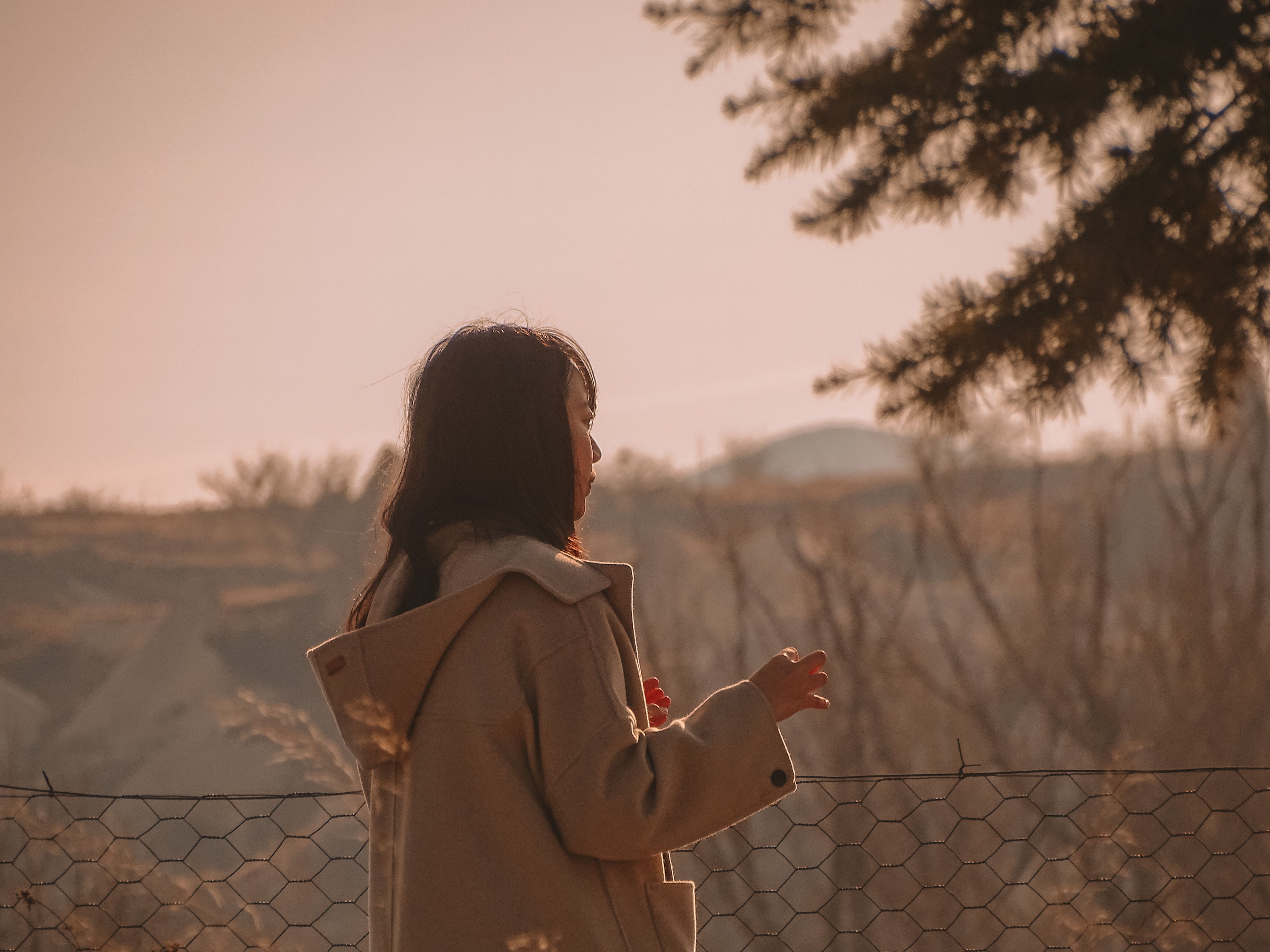 Ecc头像 Photos, Download The BEST Free Ecc头像 Stock Photos & HD Images