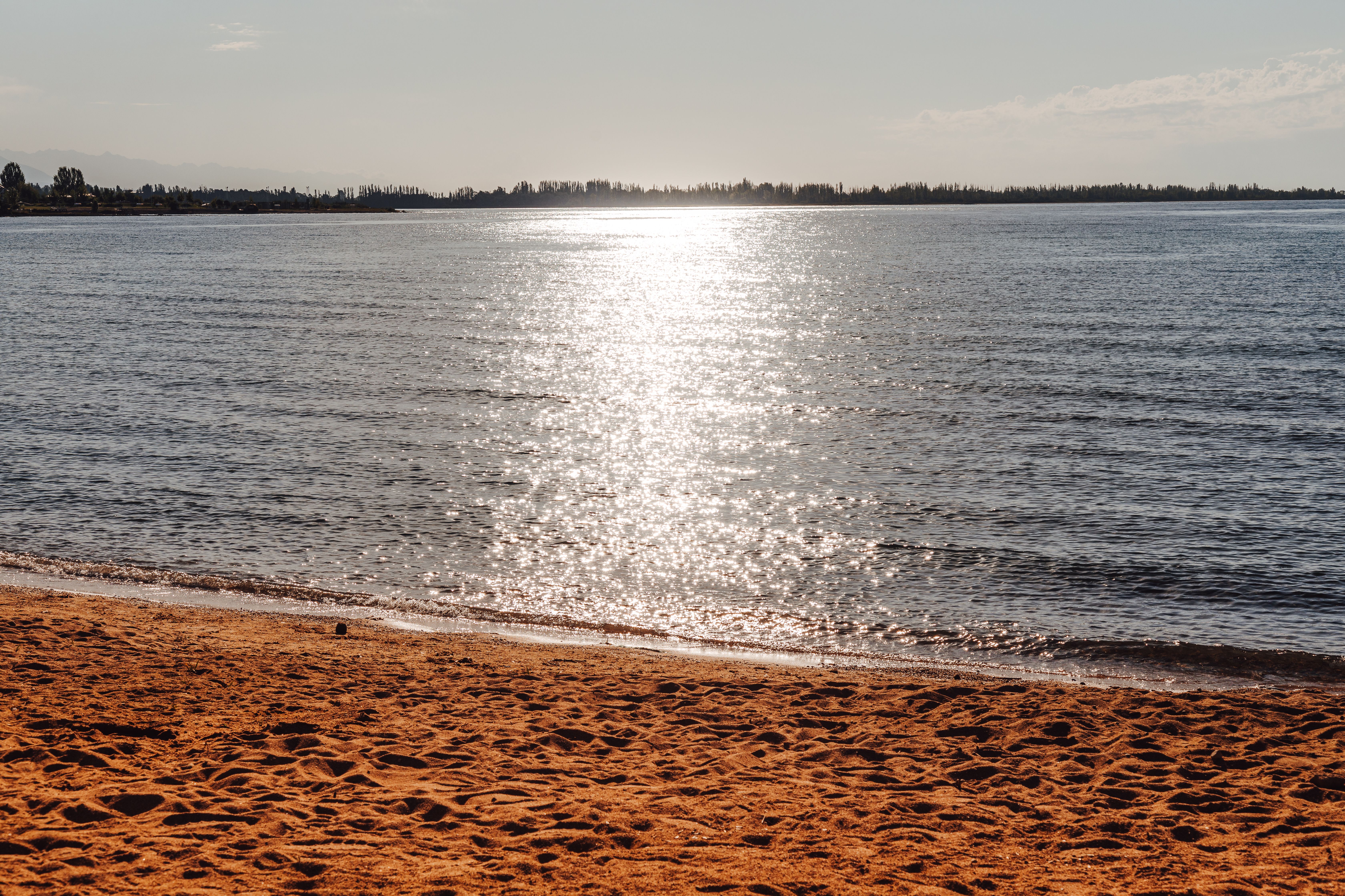 The Beach During Summer · Free Stock Photo
