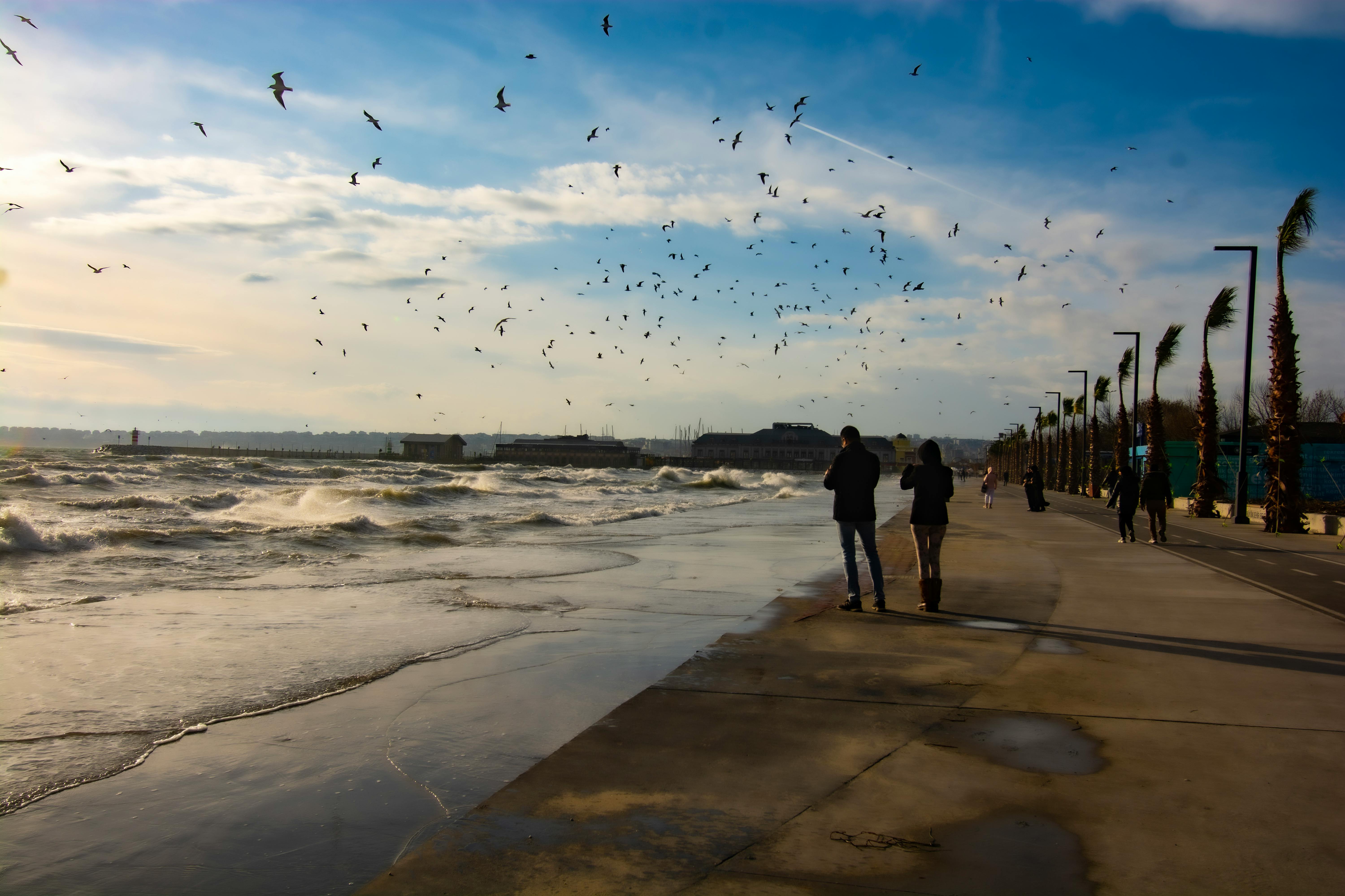 Ozden Ozpehlivan - Fotografía