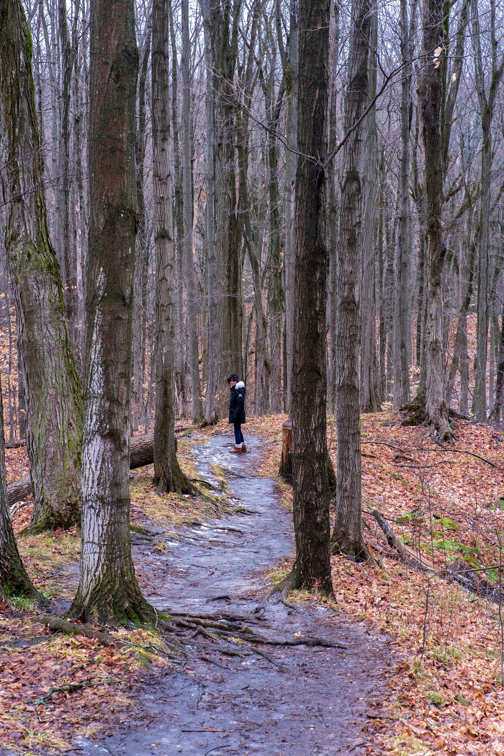 Person Standing on a Pathway · Free Stock Photo