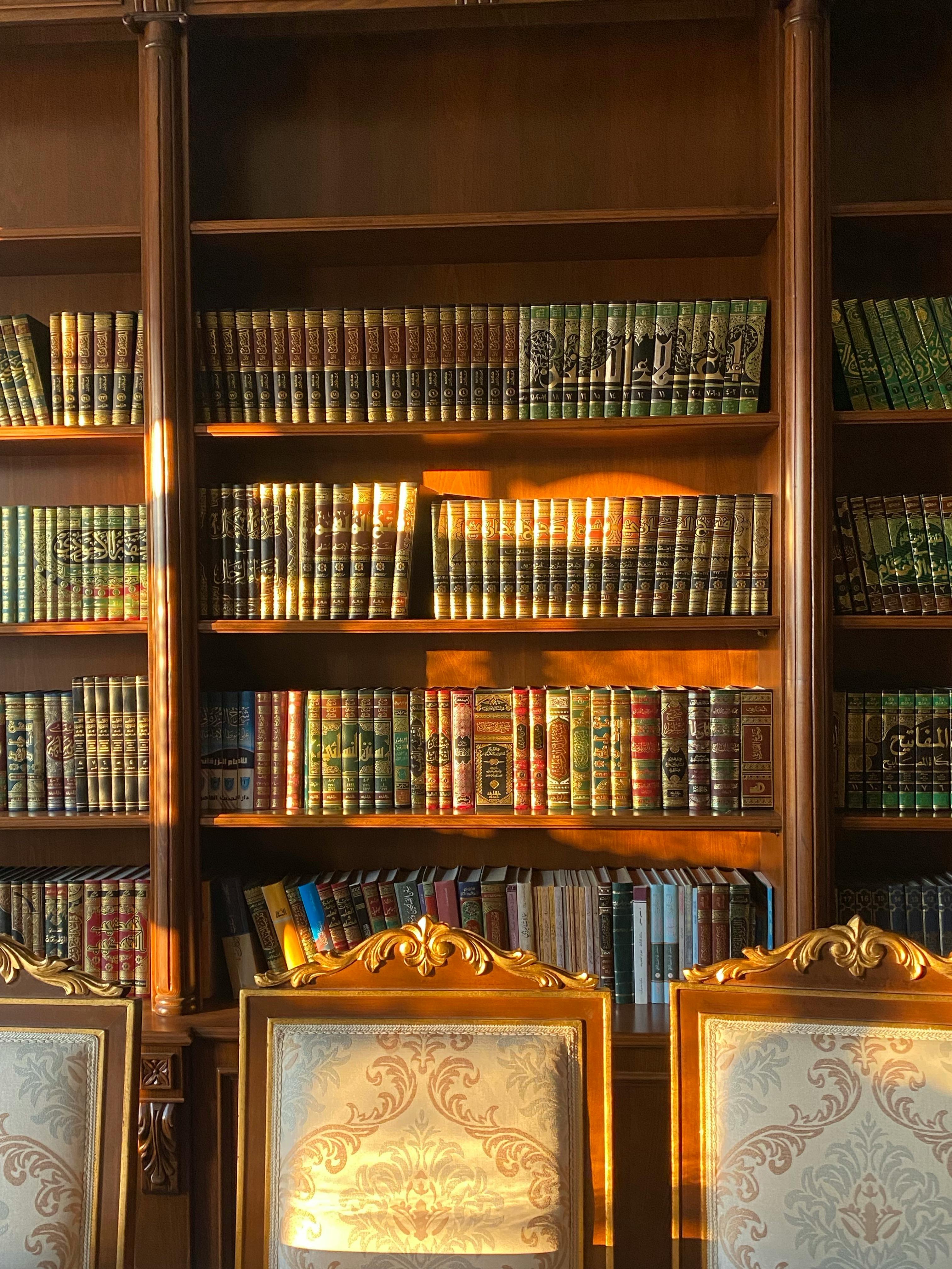 Books in an Old Library · Free Stock Photo