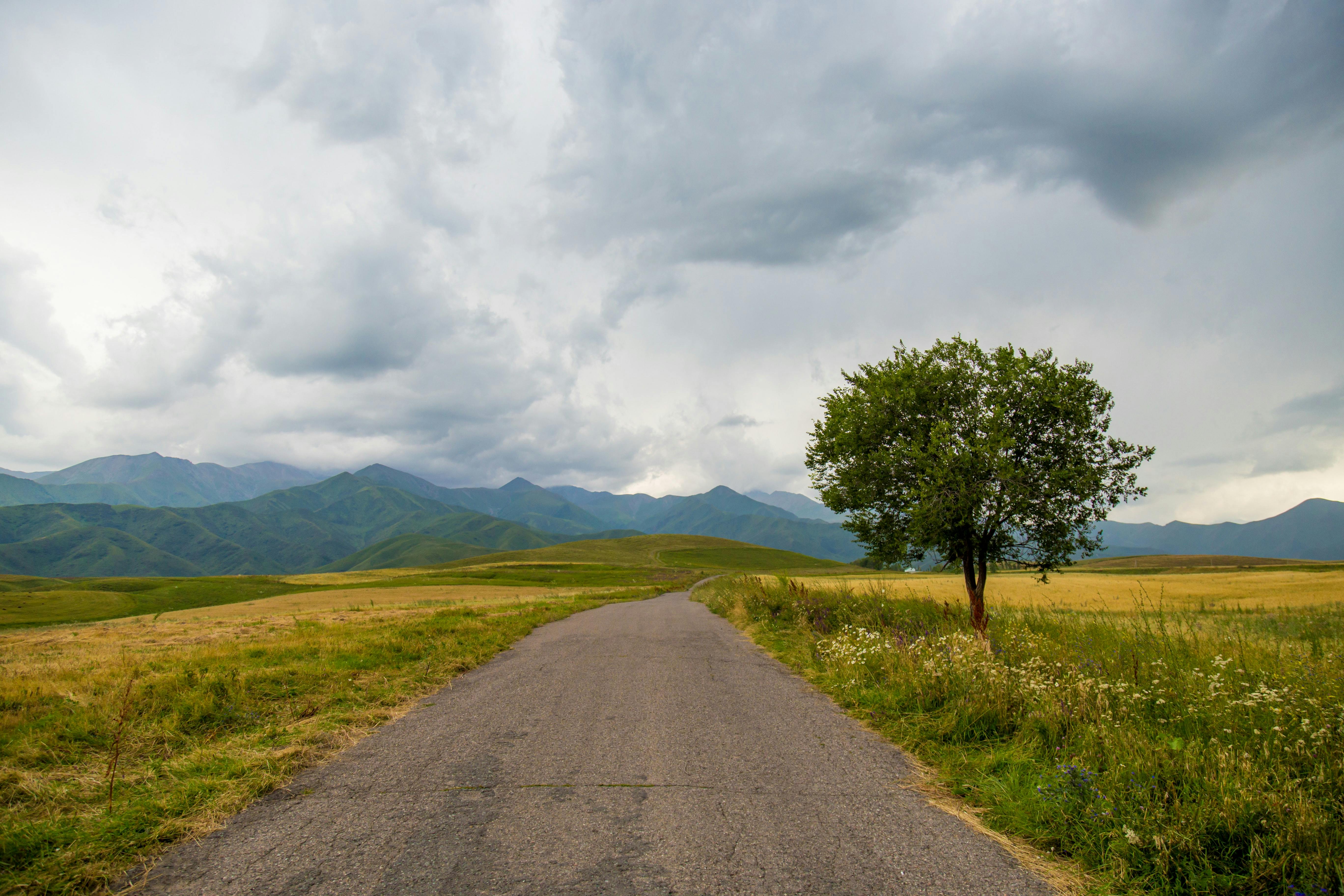 Rural Side Road · Free Stock Photo
