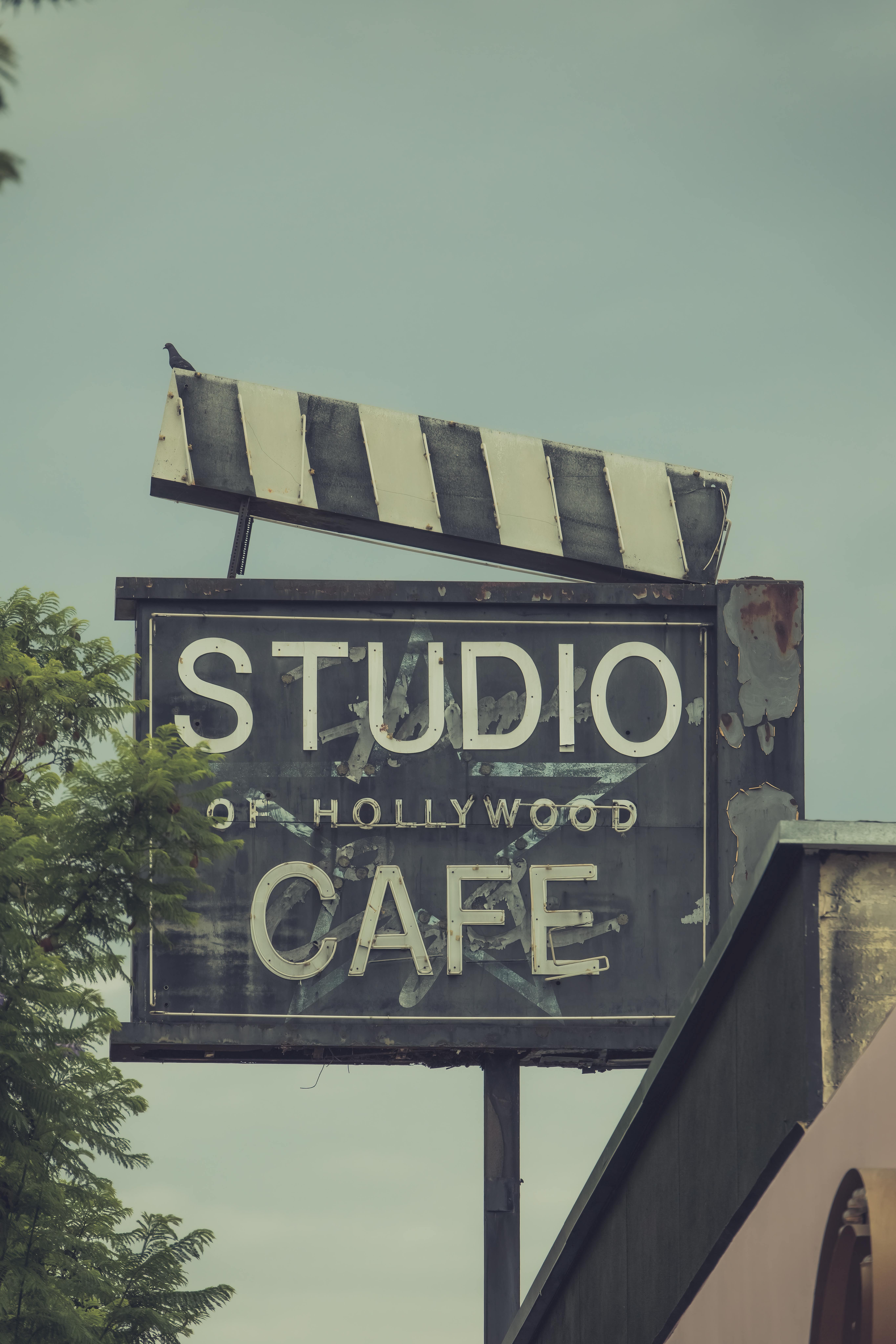 Studio of Hollywood Cafe Clappboard Sign · Free Stock Photo
