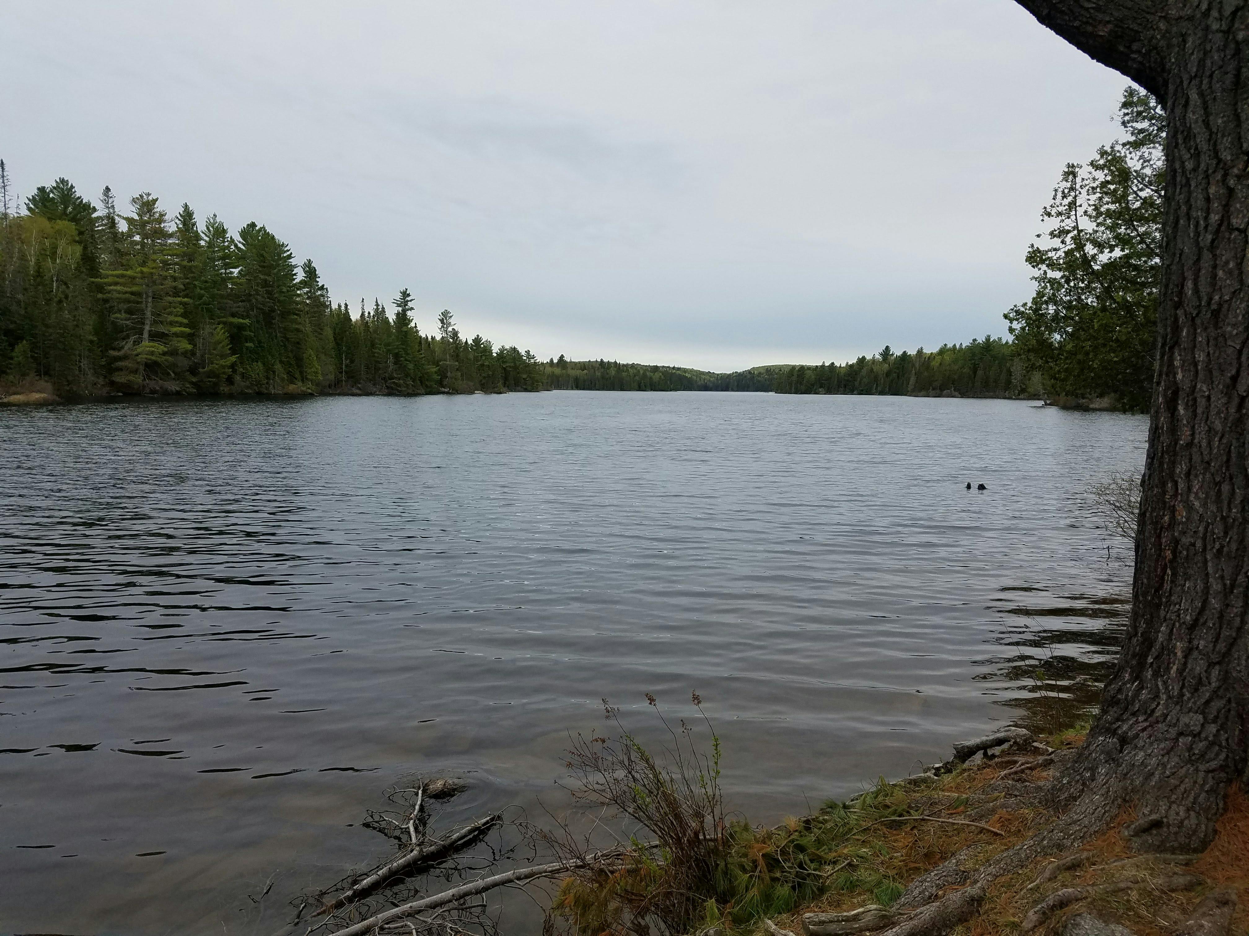 Dark, Blue Toned Image of a Landscape with a Lake · Free Stock Photo