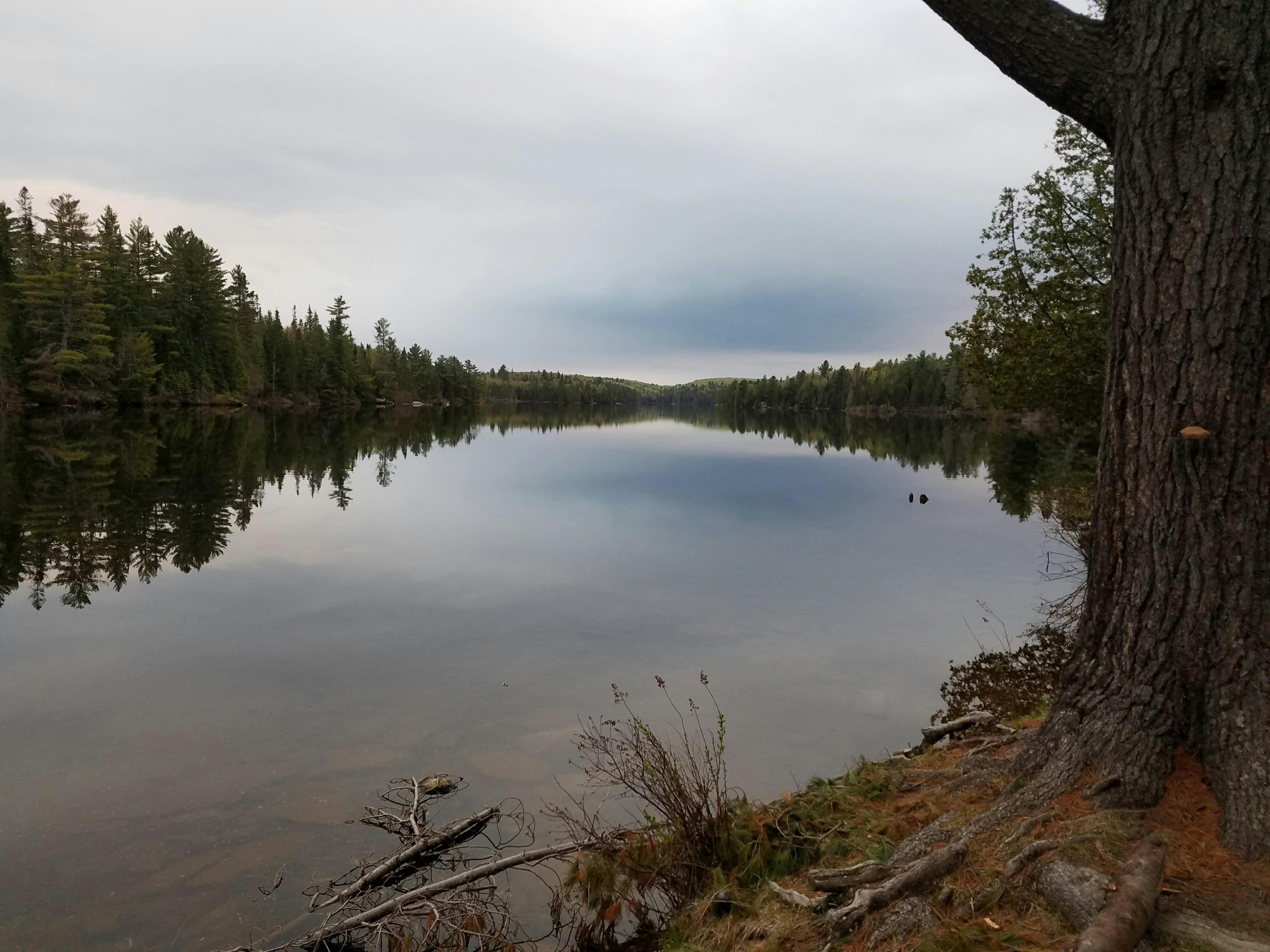 Lakeshore at Sunrise · Free Stock Photo
