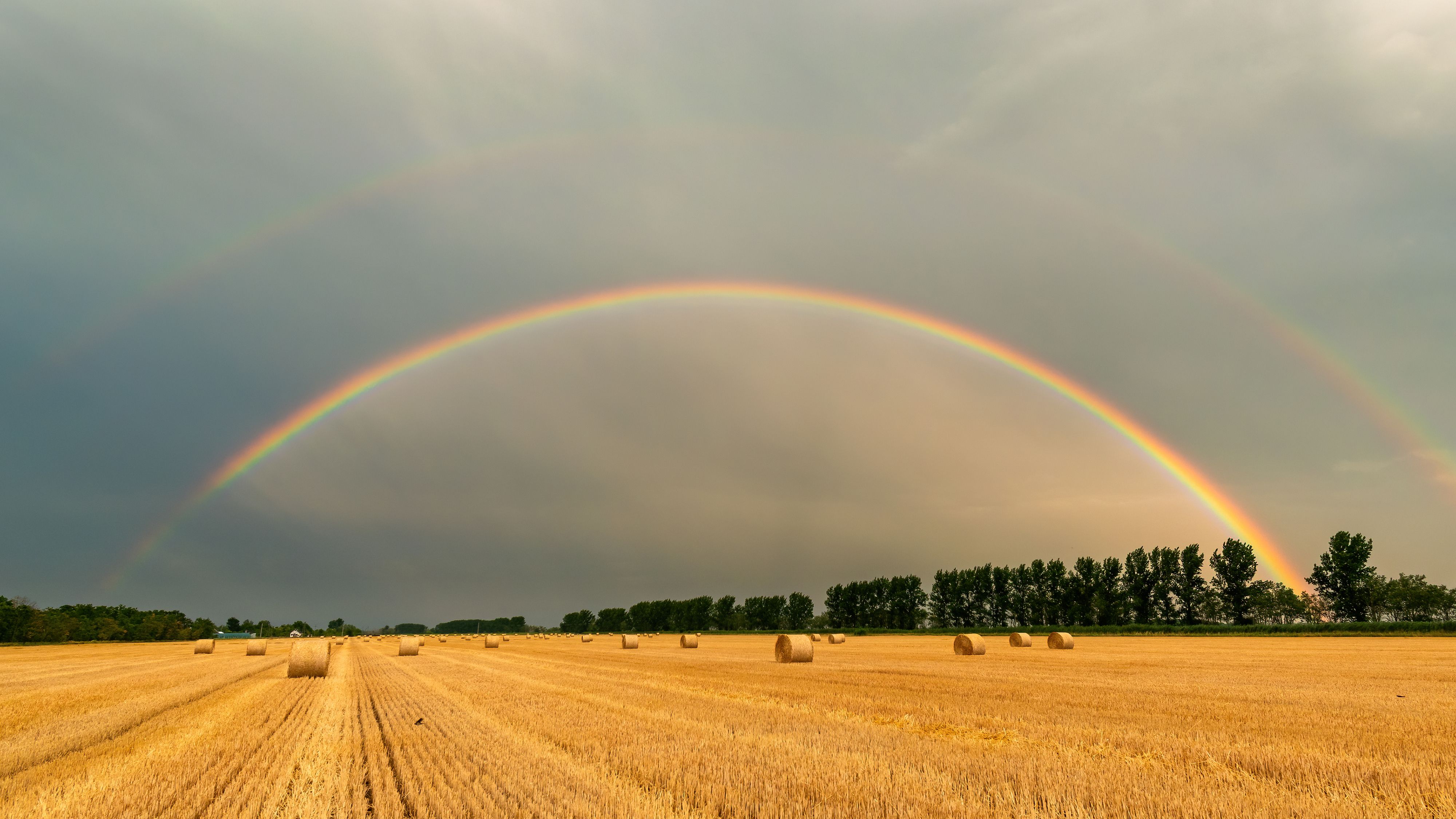 Crop Field Under Rainbow and Cloudy Skies at Dayime · Free Stock Photo