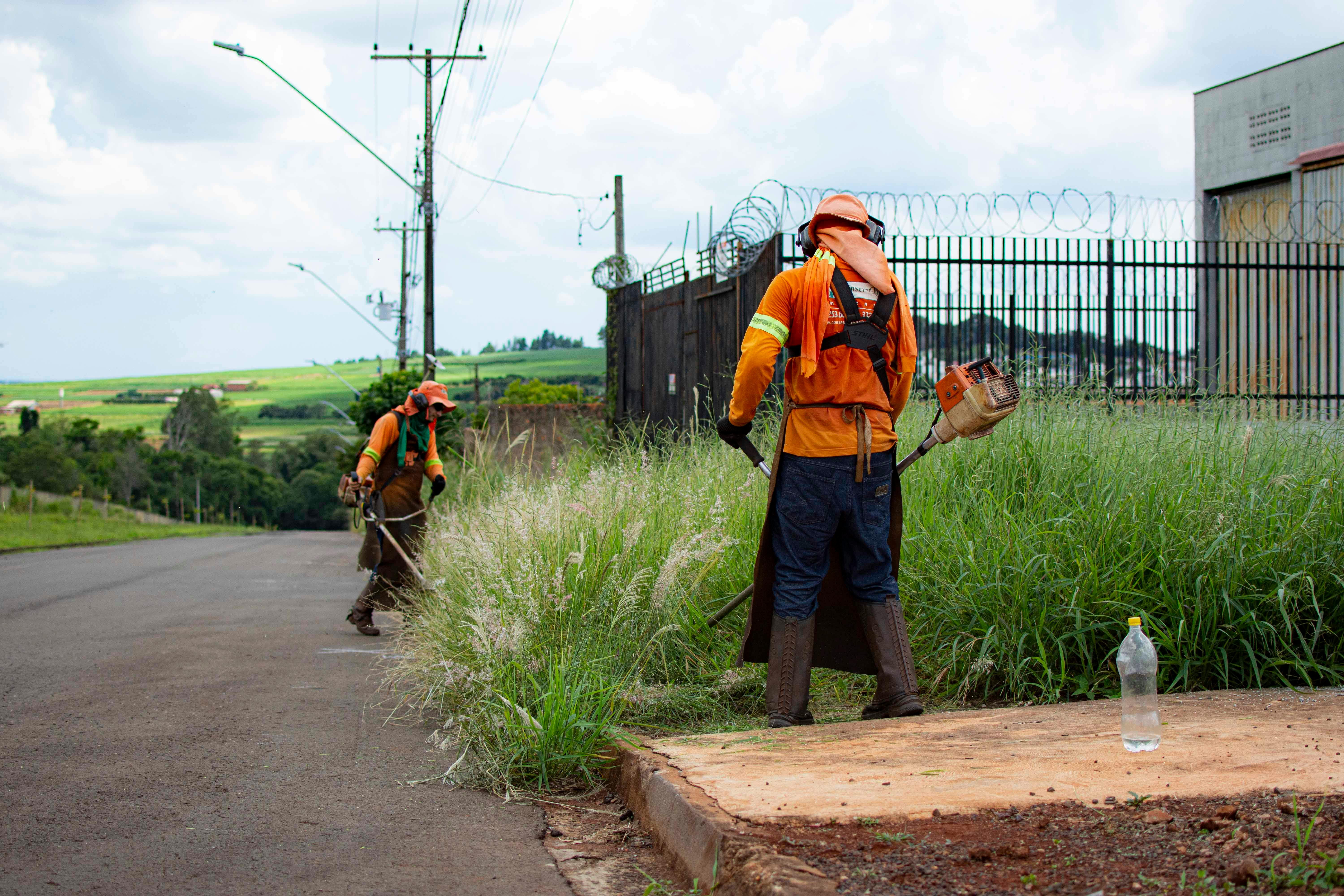 Person Cutting the Forest Tree Using a Chainsaw · Free Stock Photo