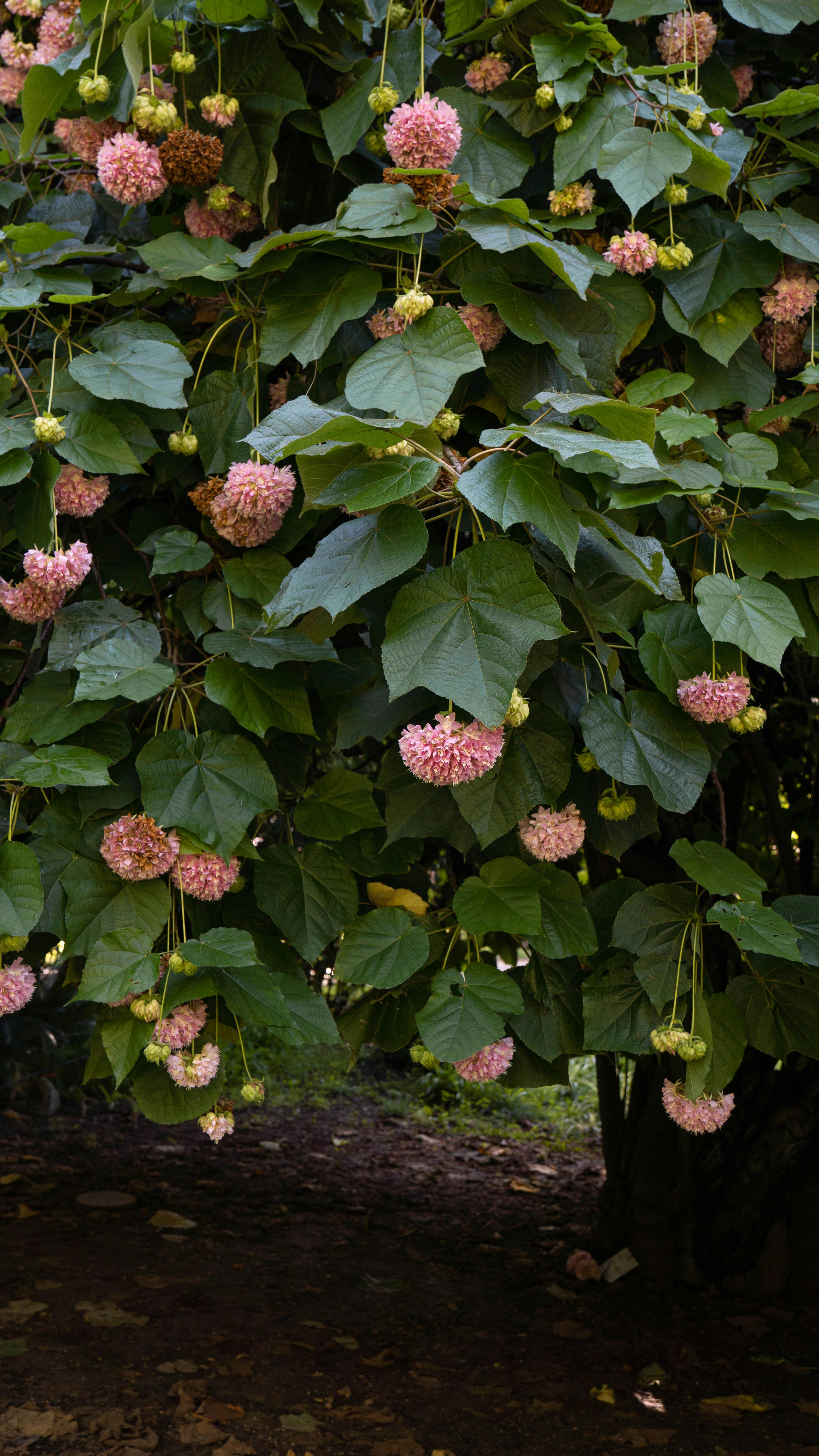 Daria Voronkov - Photography