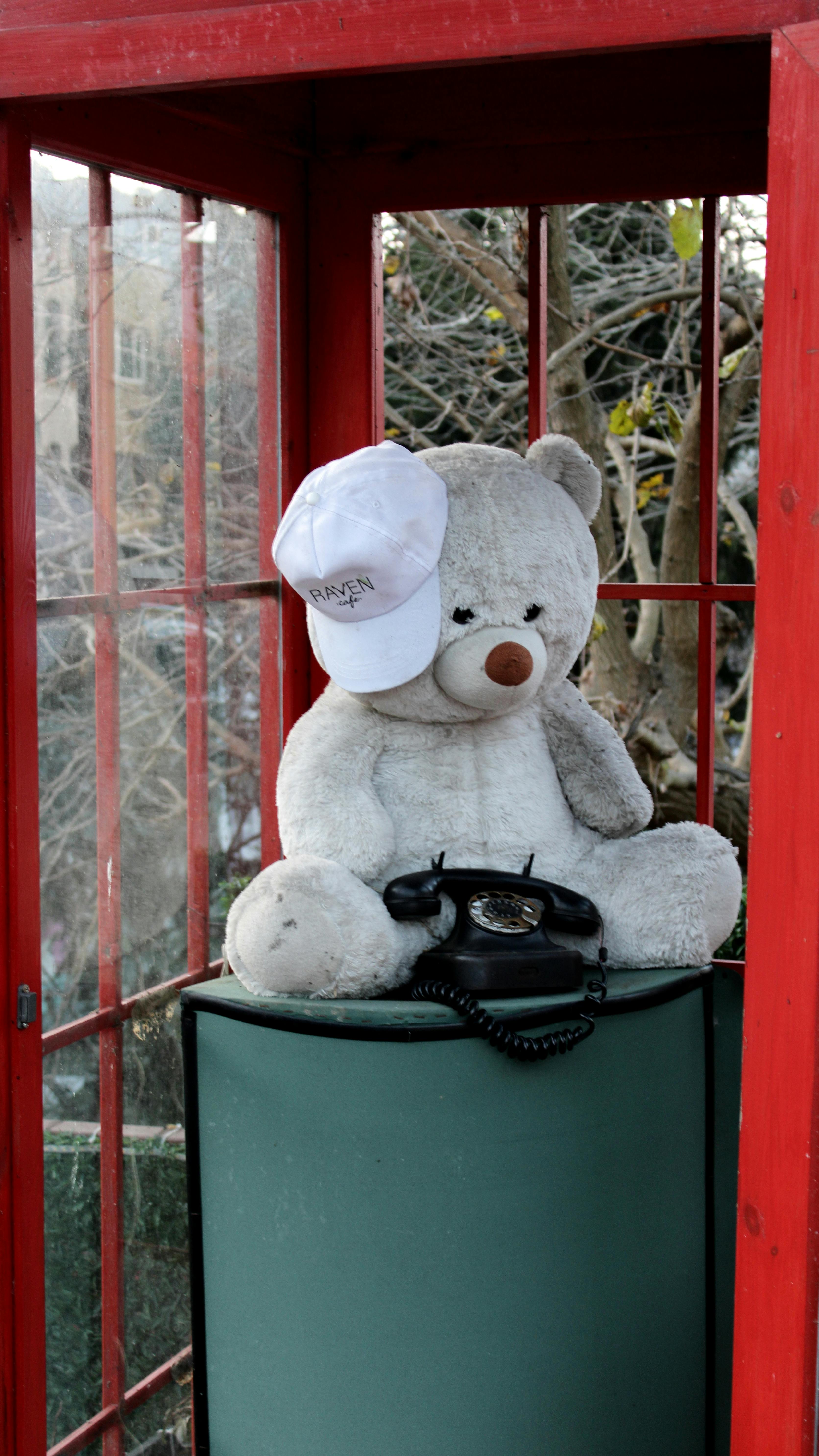 Teddy Bear Sitting in Red Phone Booth · Free Stock Photo