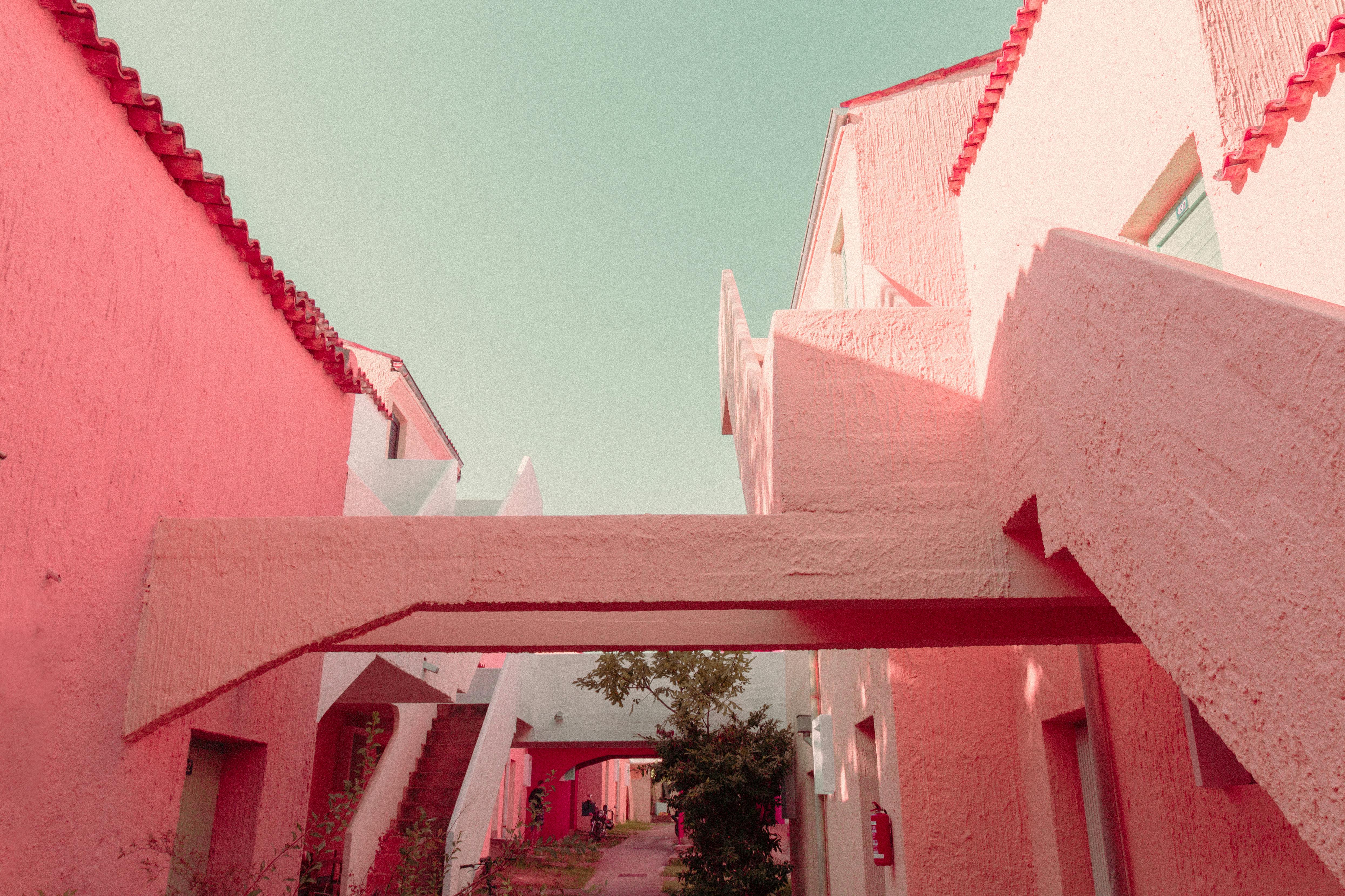 Pink Buildings in Town · Free Stock Photo