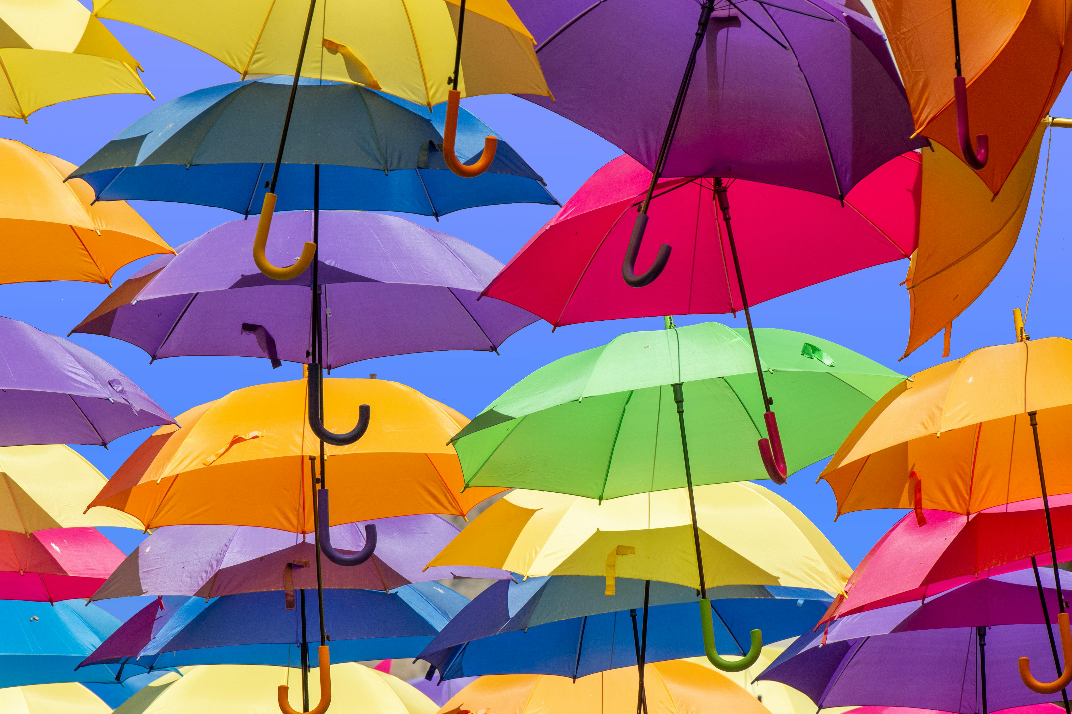 Assorted-colors Umbrella · Free Stock Photo