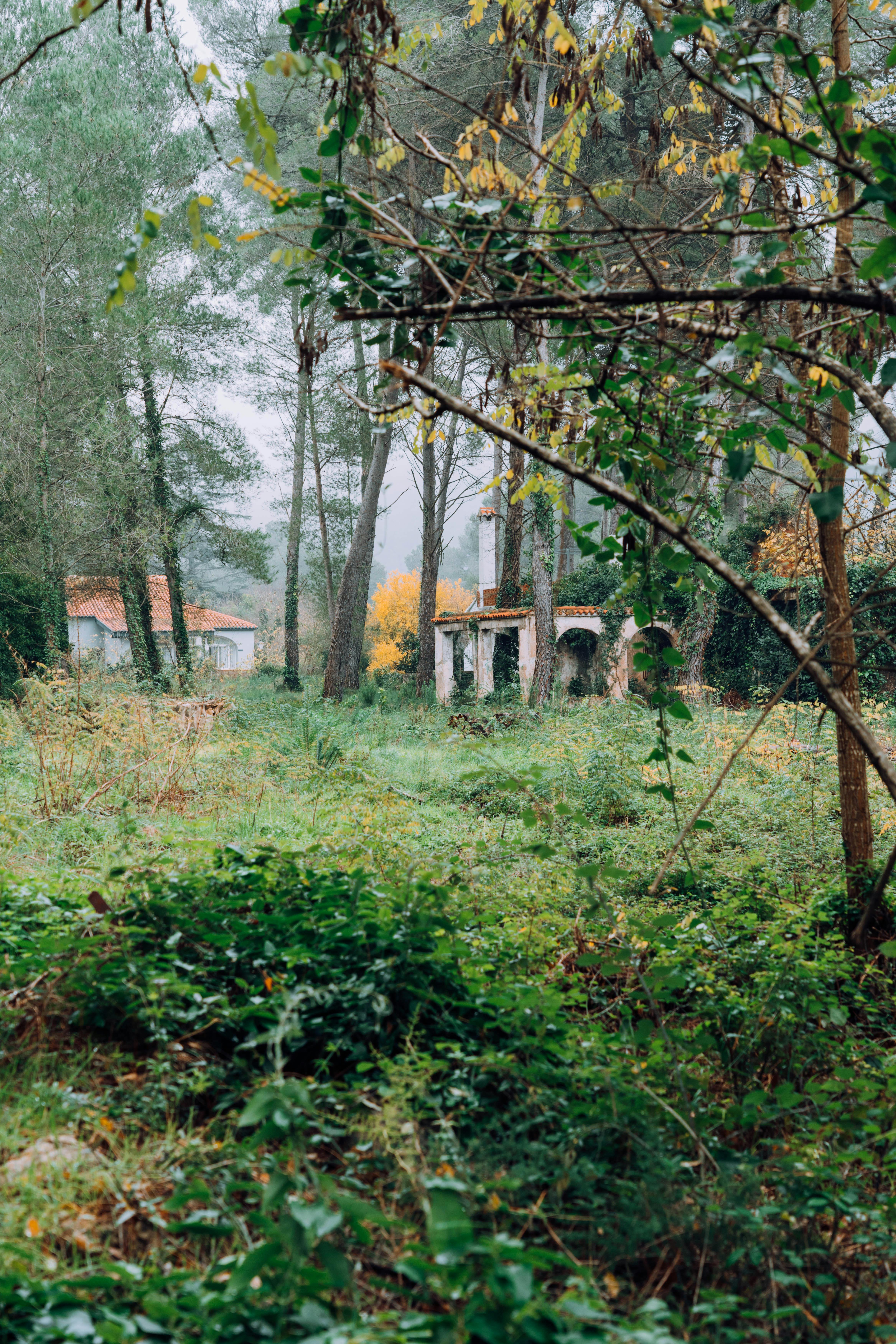 Hidden Buildings Countryside Photos, Download The BEST Free Hidden ...