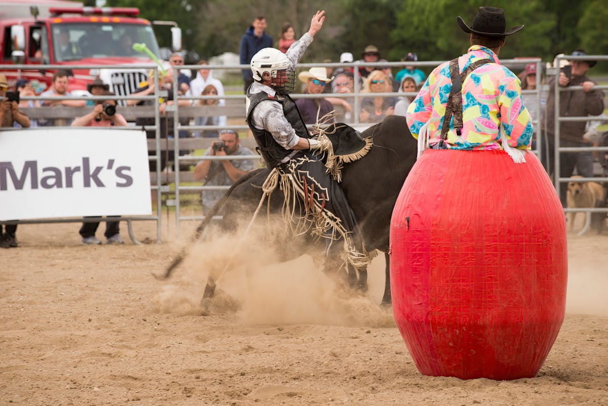 Bull Riding Photos, Download The BEST Free Bull Riding Stock Photos ...