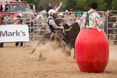 Bull Riding Photos, Download The BEST Free Bull Riding Stock Photos ...