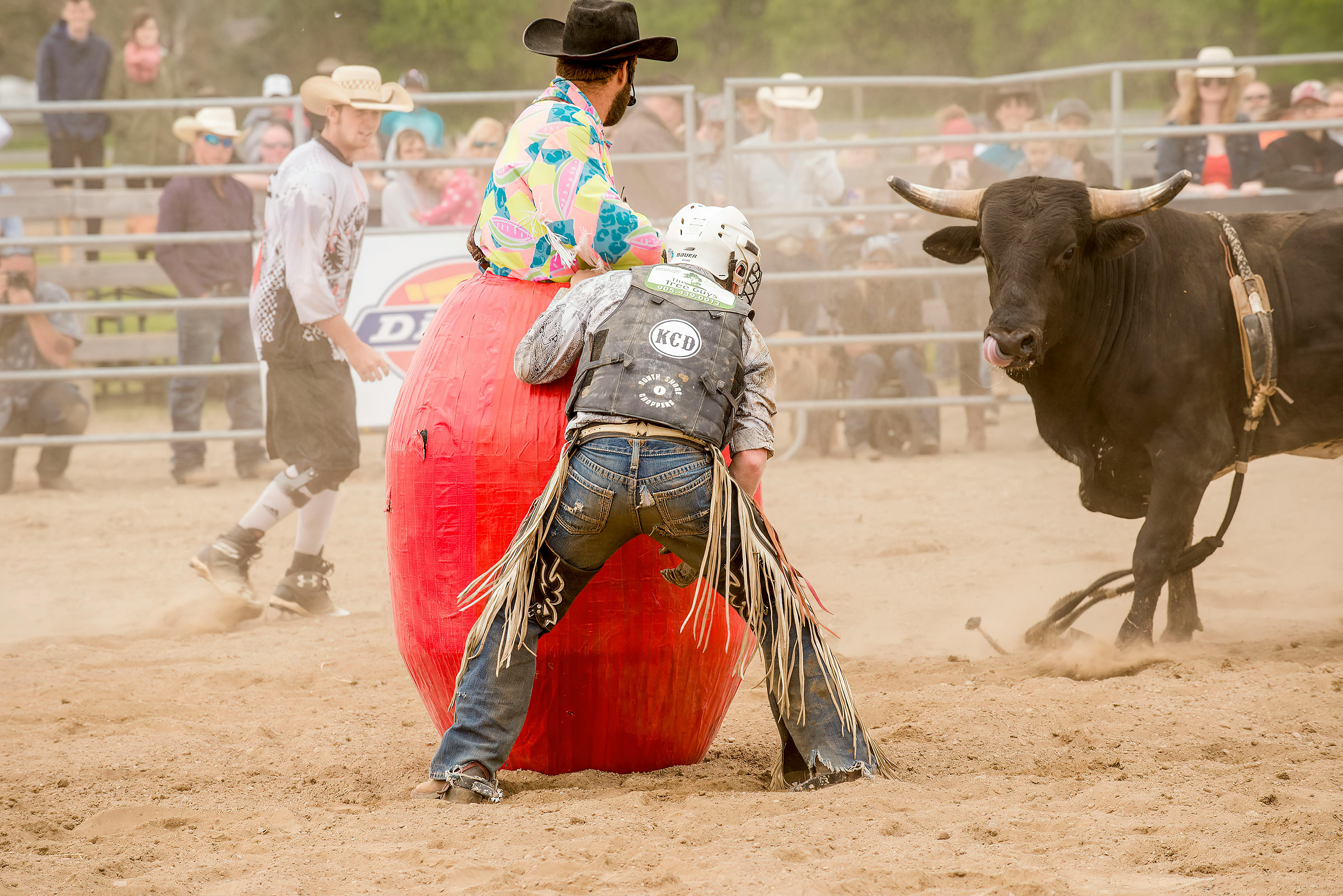 Cowboys Competing in a Rodeo · Free Stock Photo