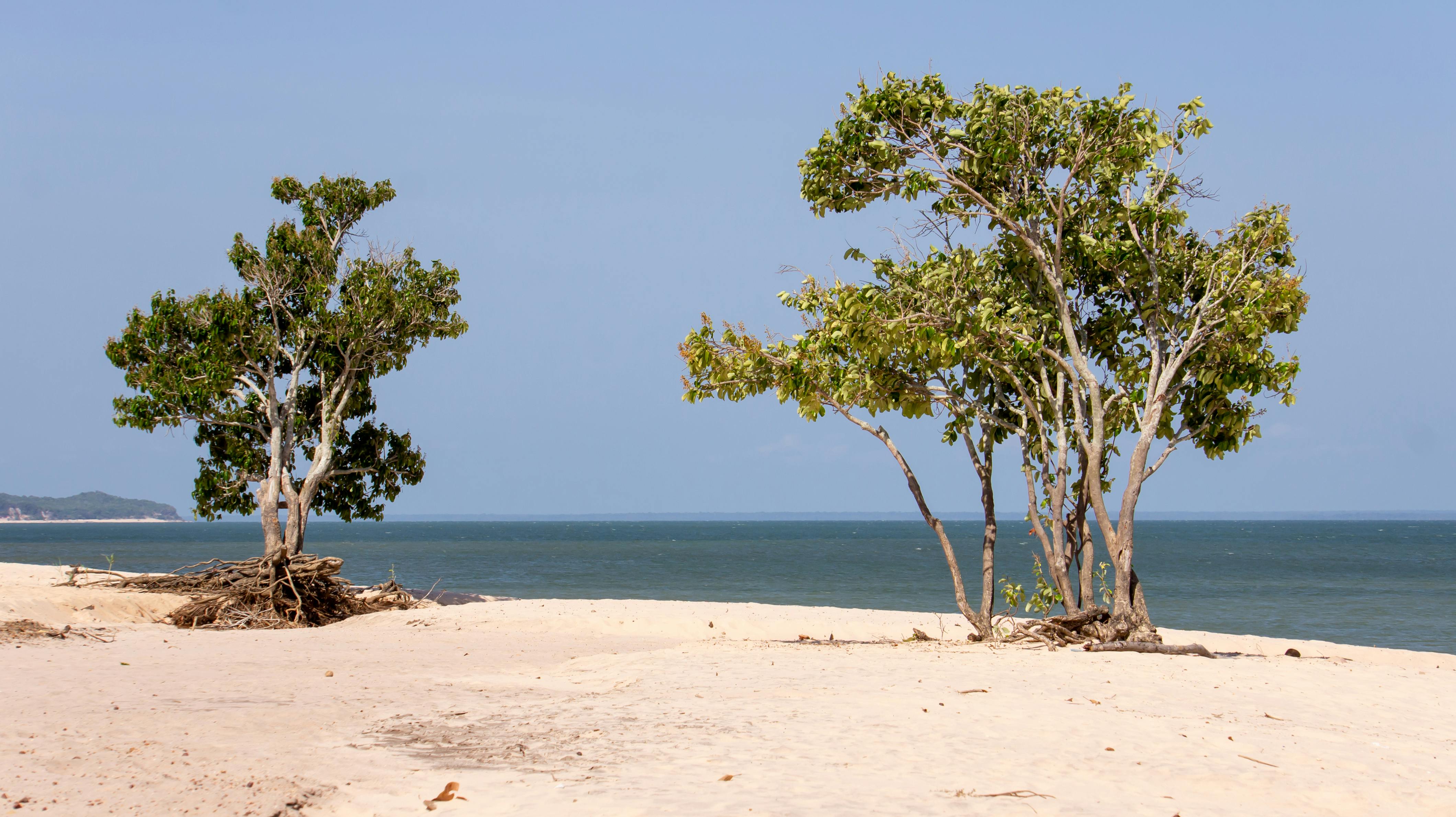 Foto Da Paisagem De Praia Sob O Céu Azul · Foto profissional gratuita