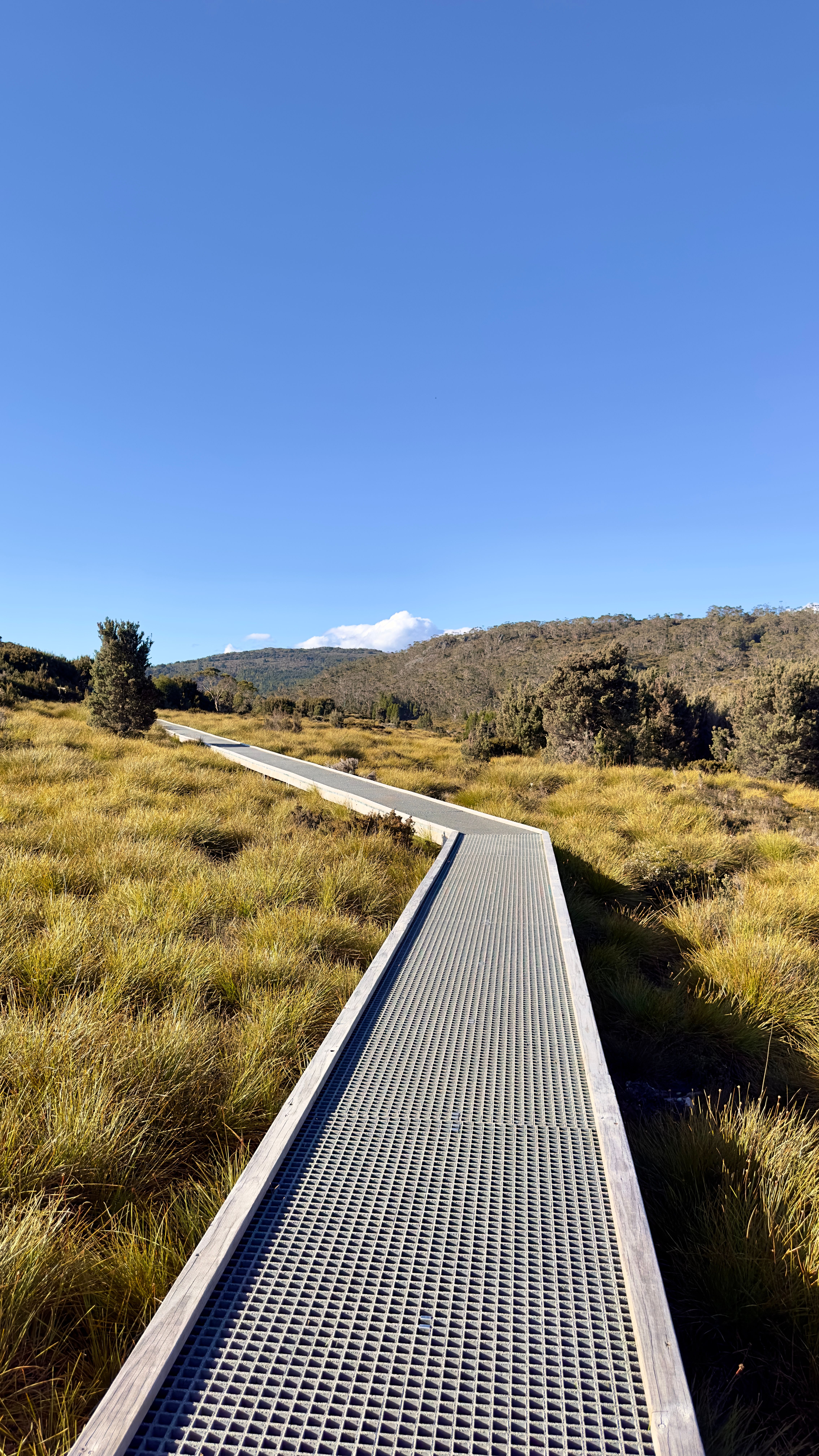 Walkway in the Grass · Free Stock Photo
