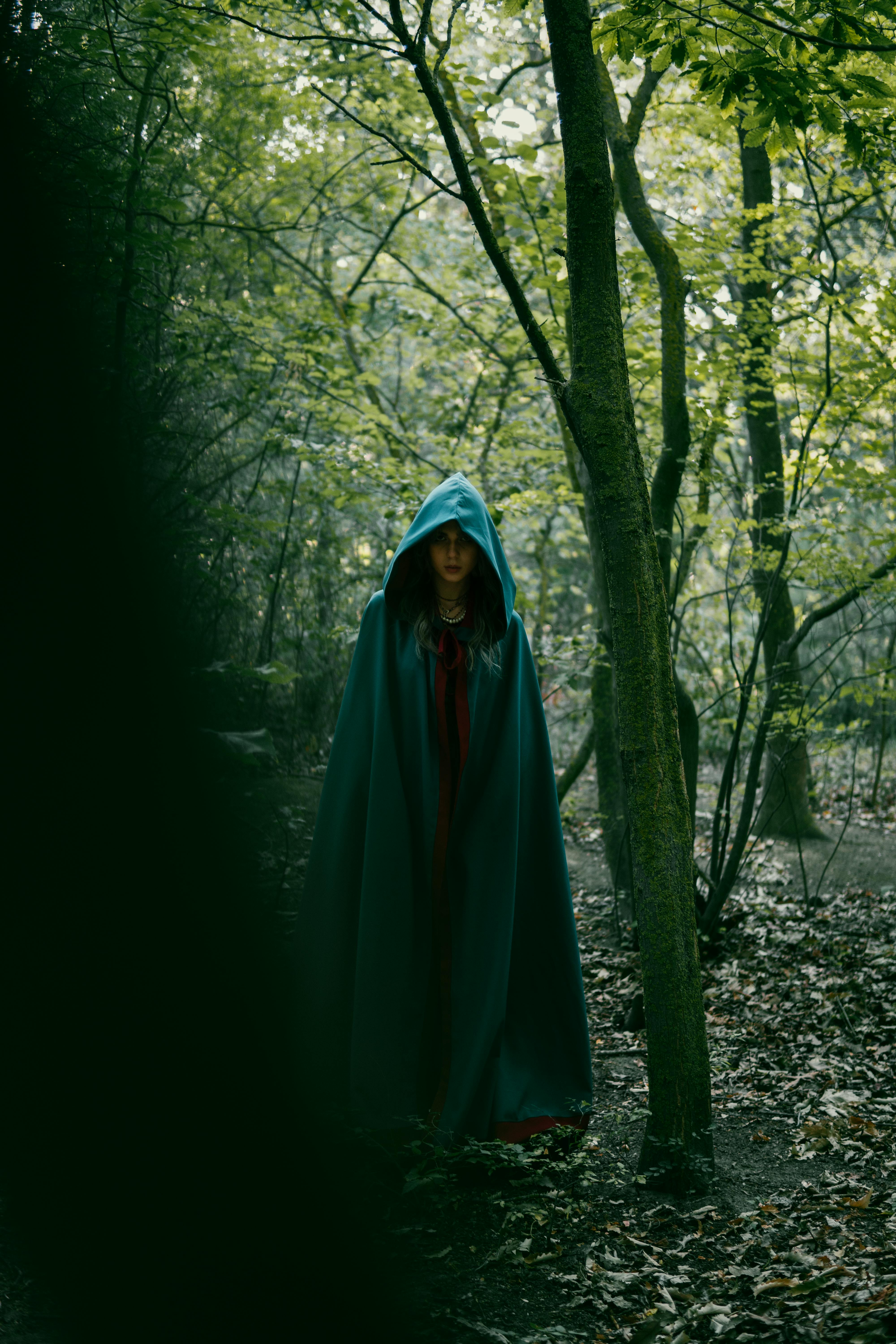 A Woman Dressed as a Little Red Riding Hood Standing in a Forest · Free ...