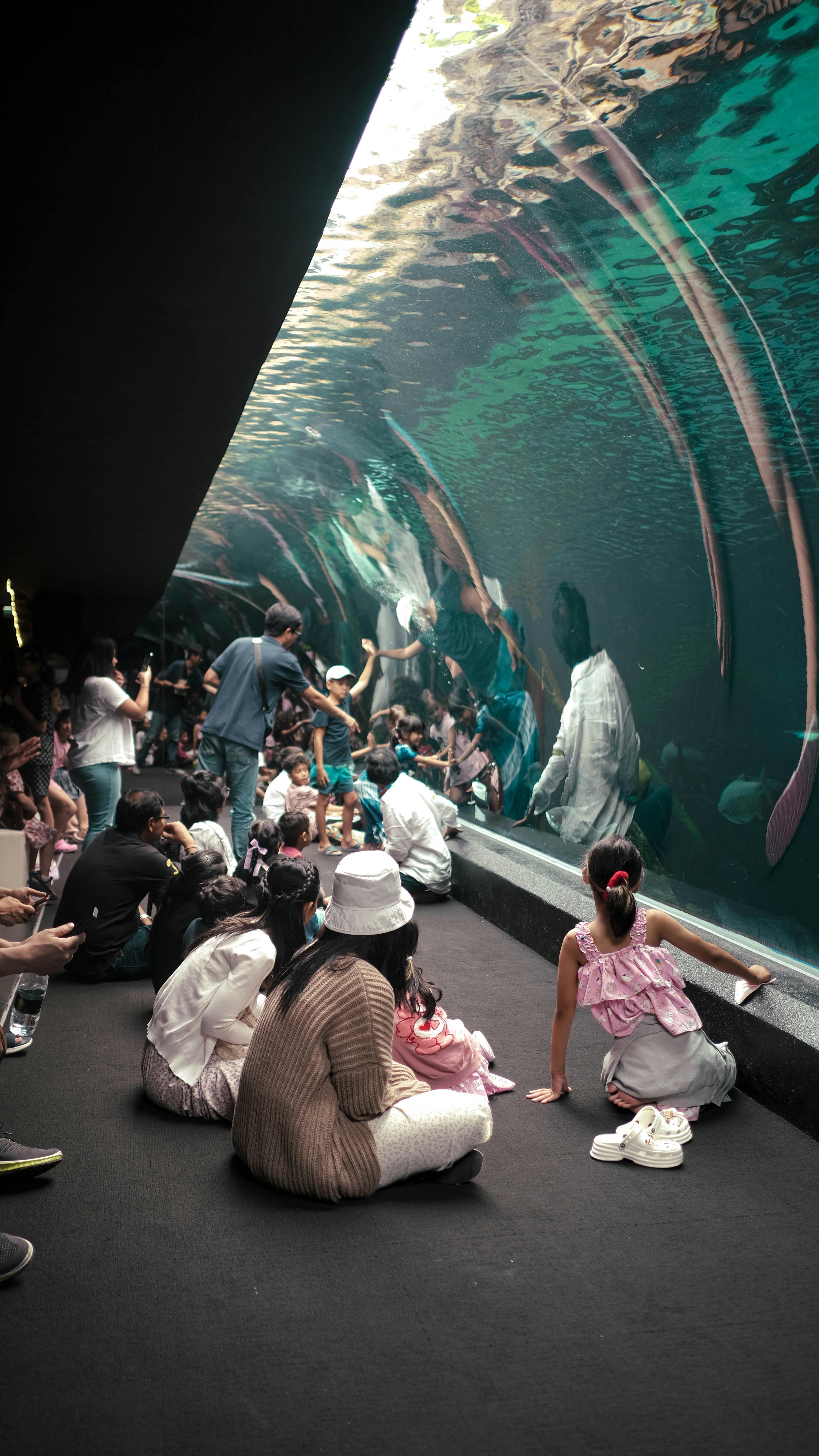 People Watching the Marine Animals in an Aquarium · Free Stock Photo