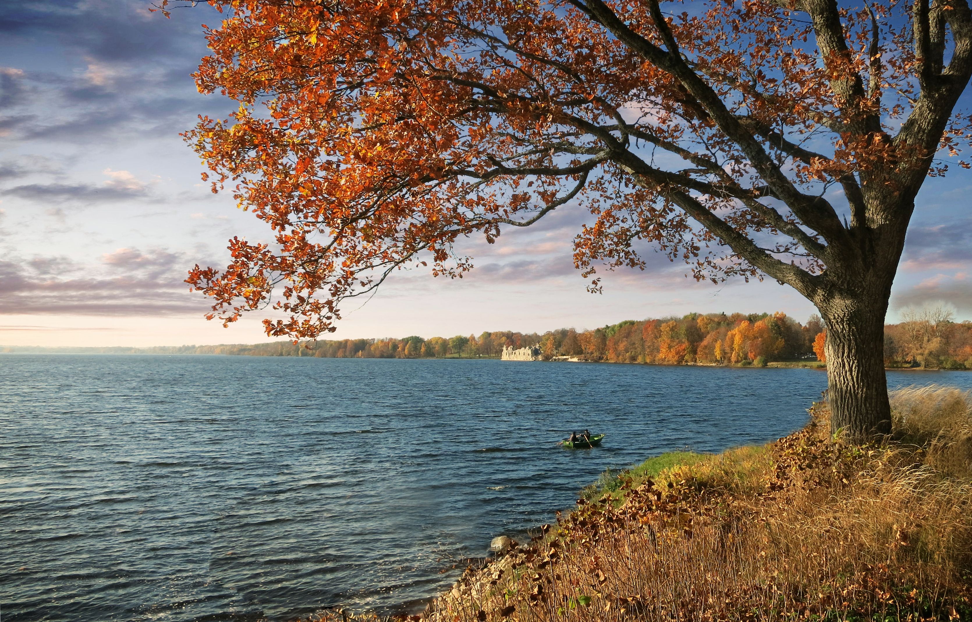 View of a Boat on a Body of Water and Autmnal Trees on a Shore · Free ...