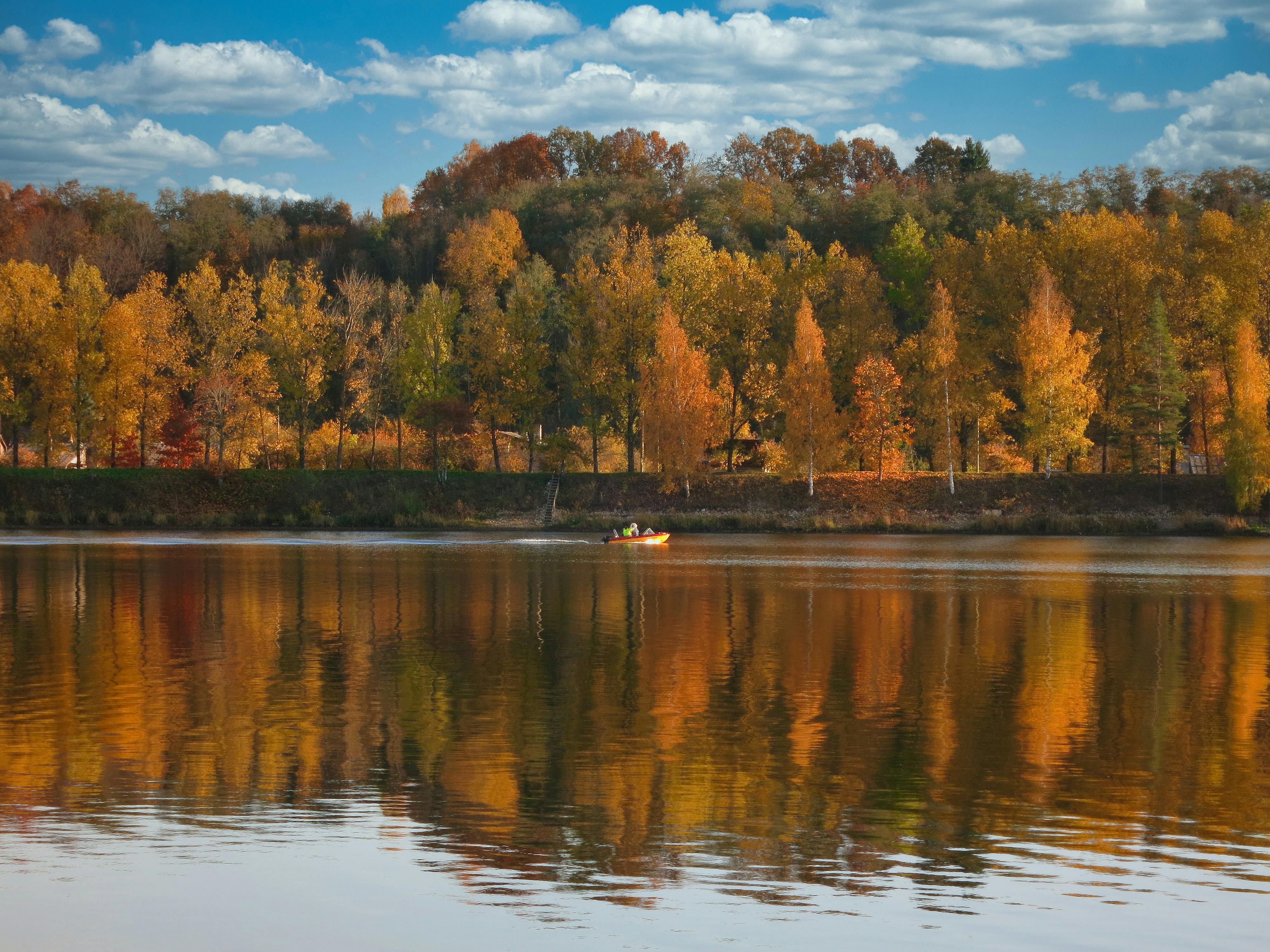 Boat Cruising a River · Free Stock Photo