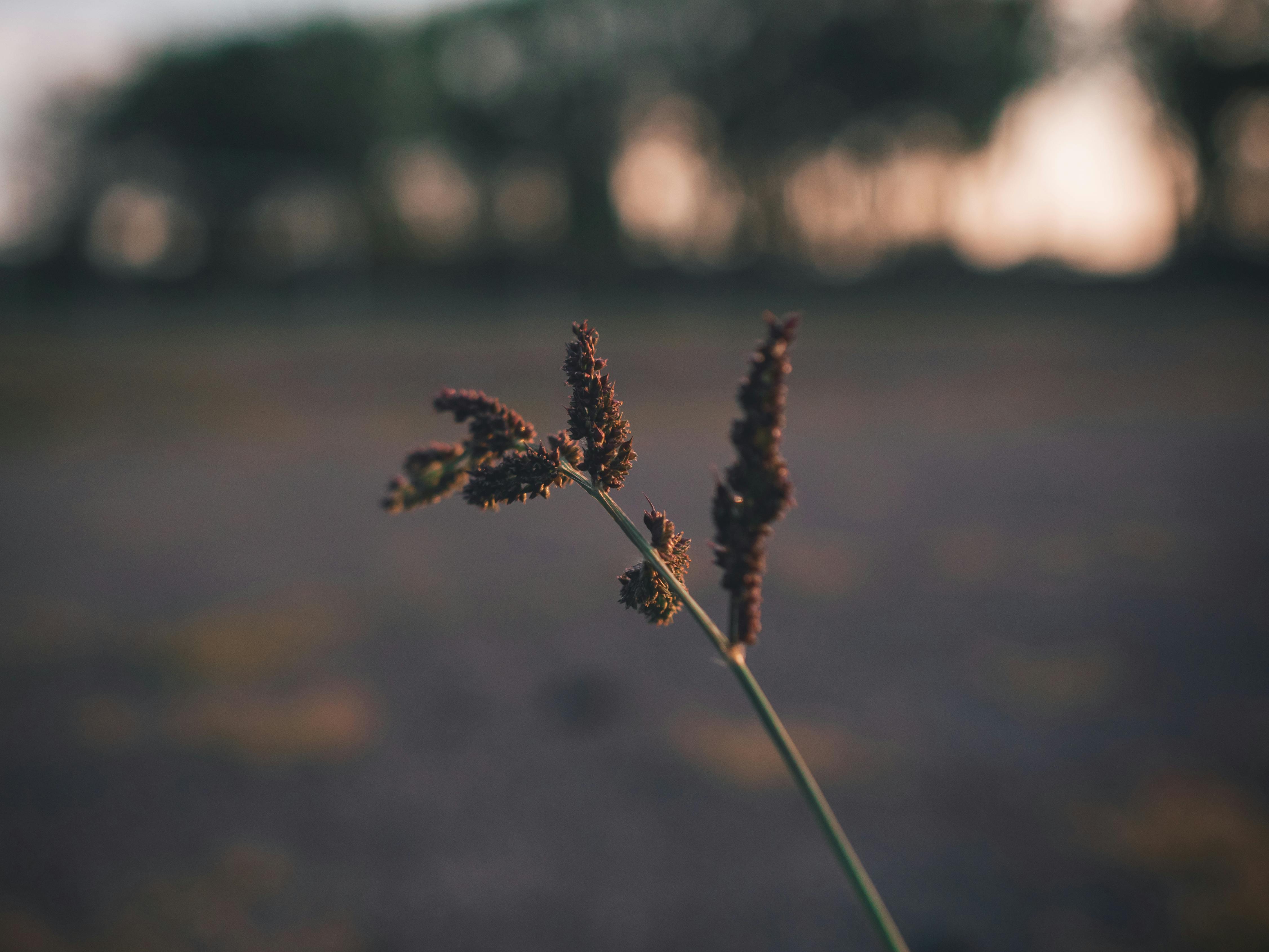 Stears Photos, Download The BEST Free Stears Stock Photos & HD Images