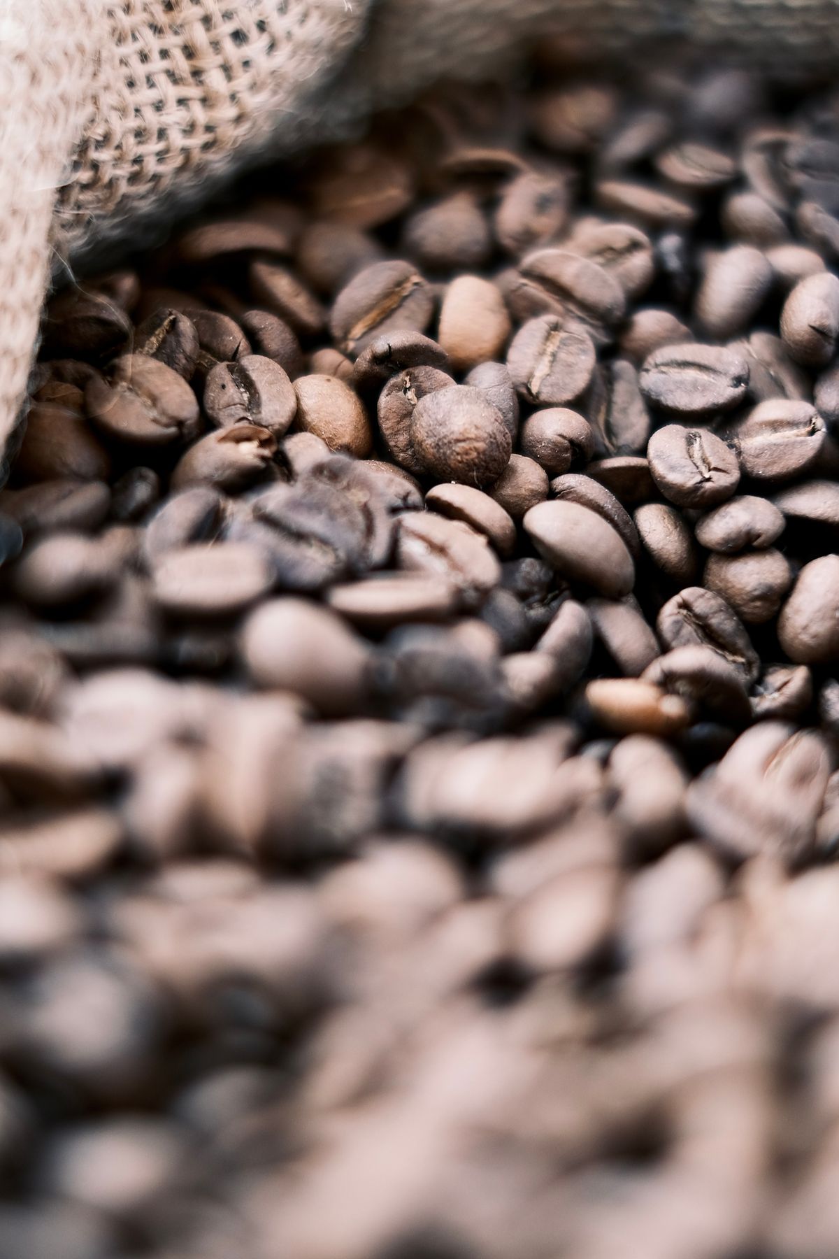 Coffee Beans Bags Photos, Download The BEST Free Coffee Beans Bags ...