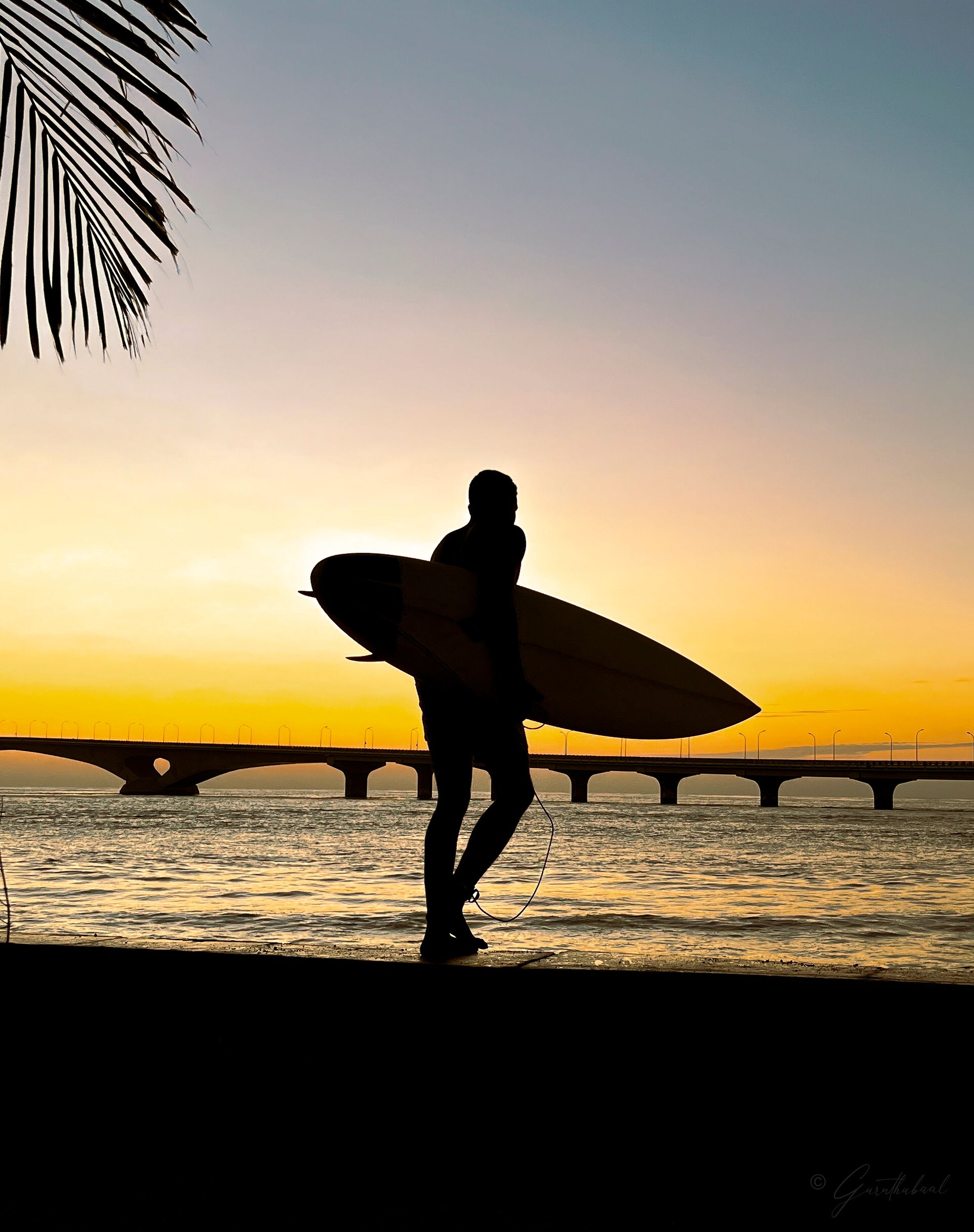 Bing Surfboard Shop Photos, Download The BEST Free Bing Surfboard Shop ...