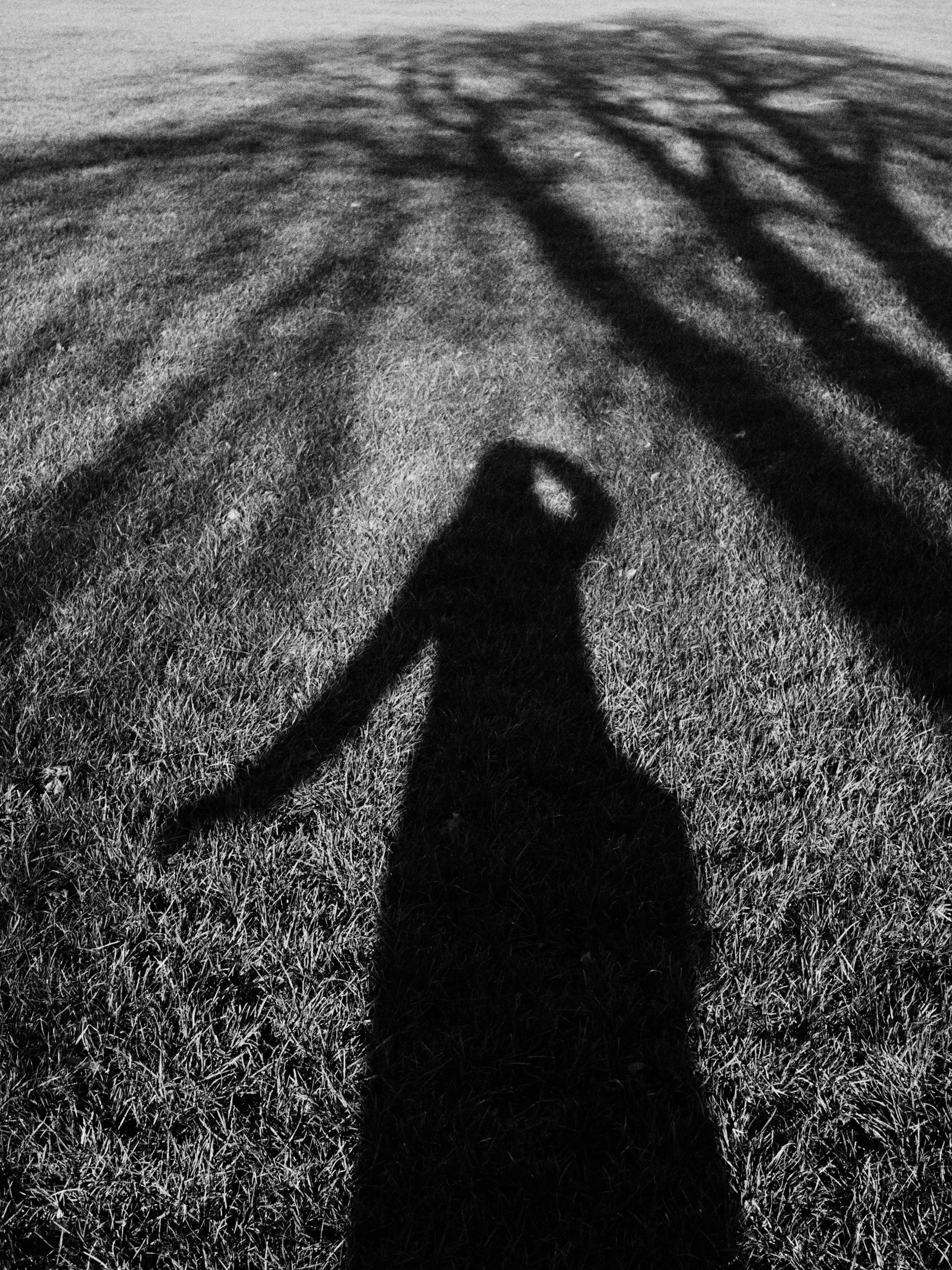 Black and White Photo of a Shadow on the Lawn · Free Stock Photo