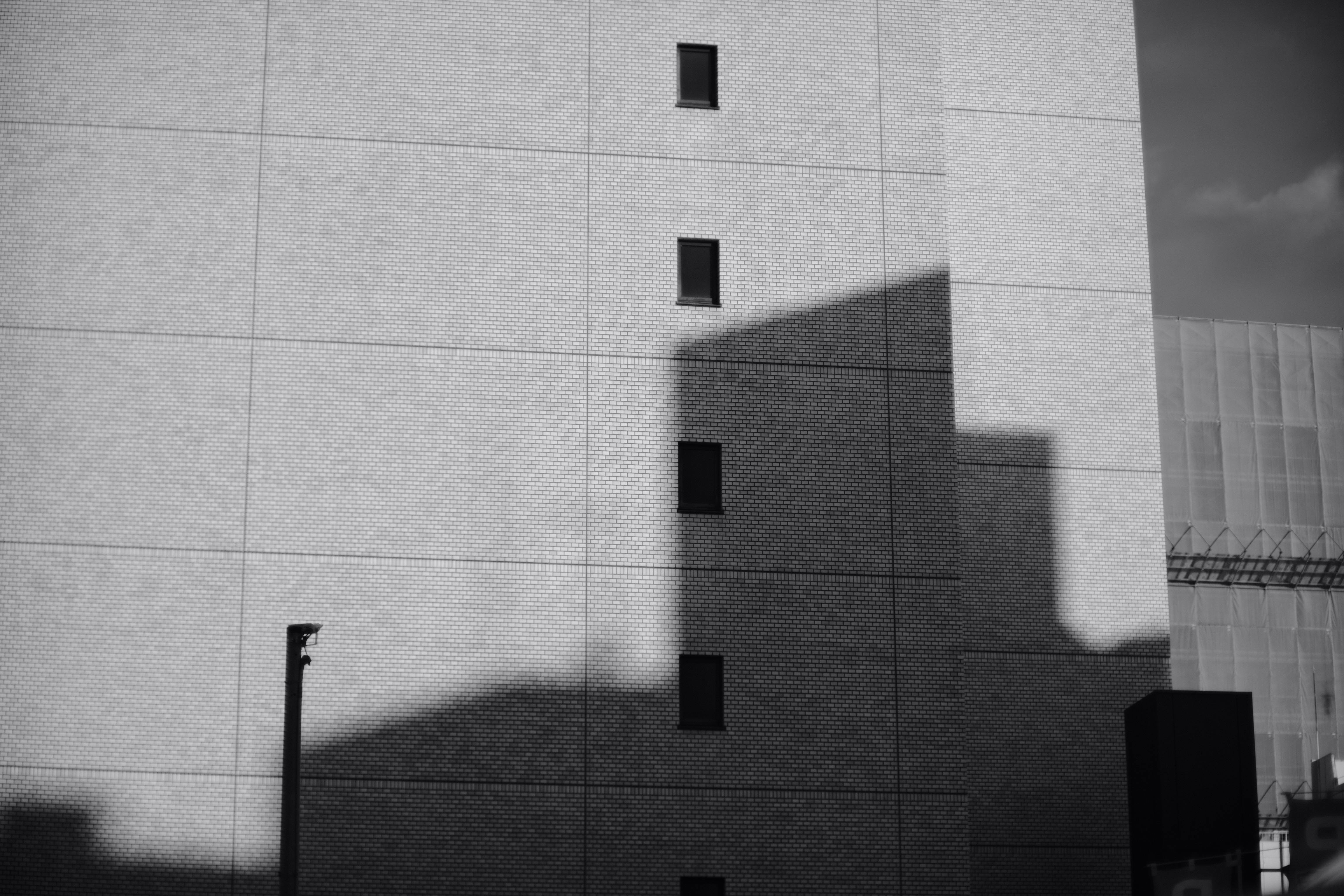 Shadow of a Palm Tree on a Building Wall · Free Stock Photo