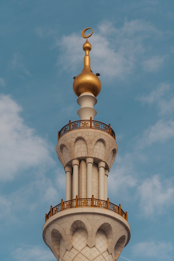 Top Of Tower Photos, Download The BEST Free Top Of Tower Stock Photos ...