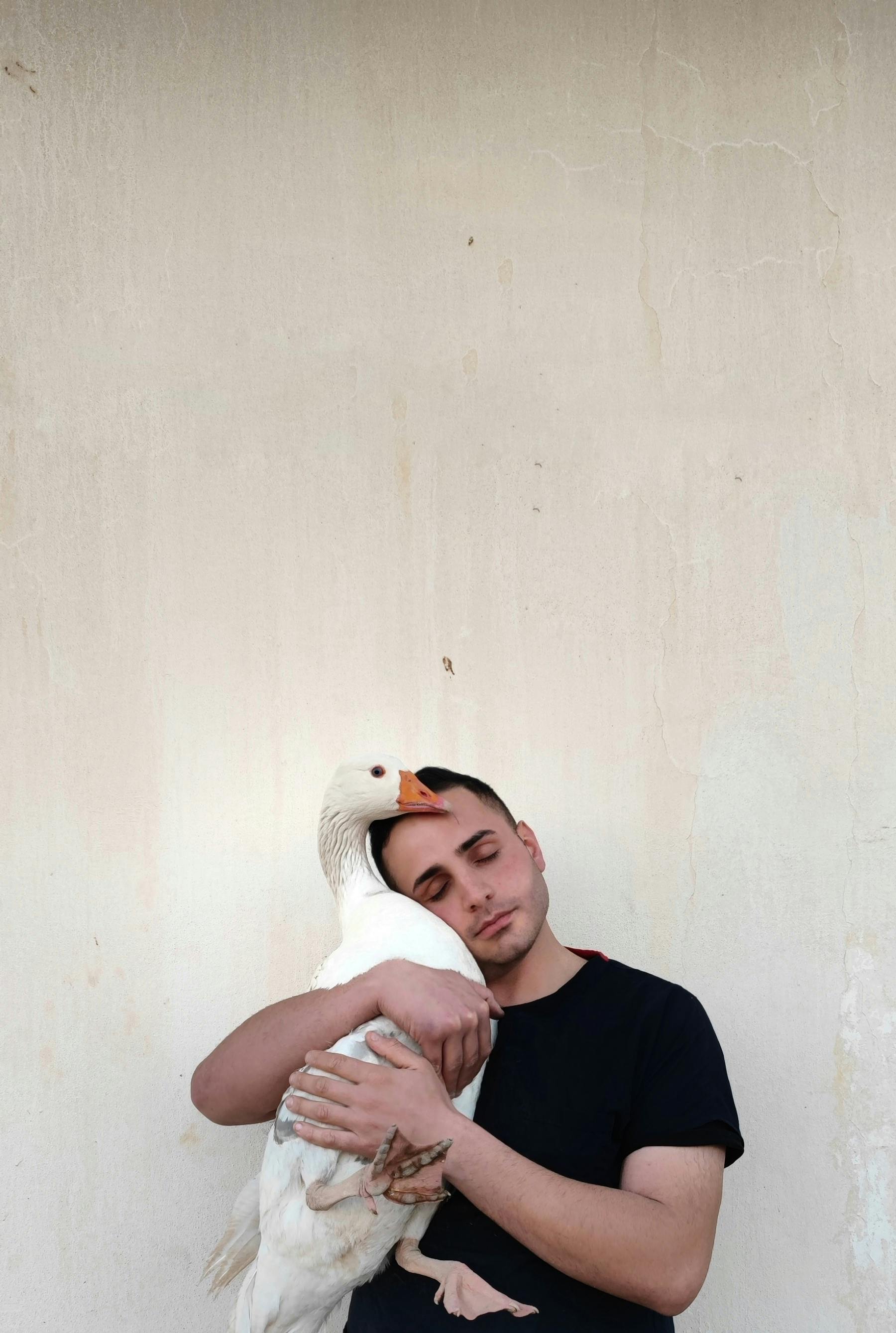 Man Hugging Pet Duck · Free Stock Photo