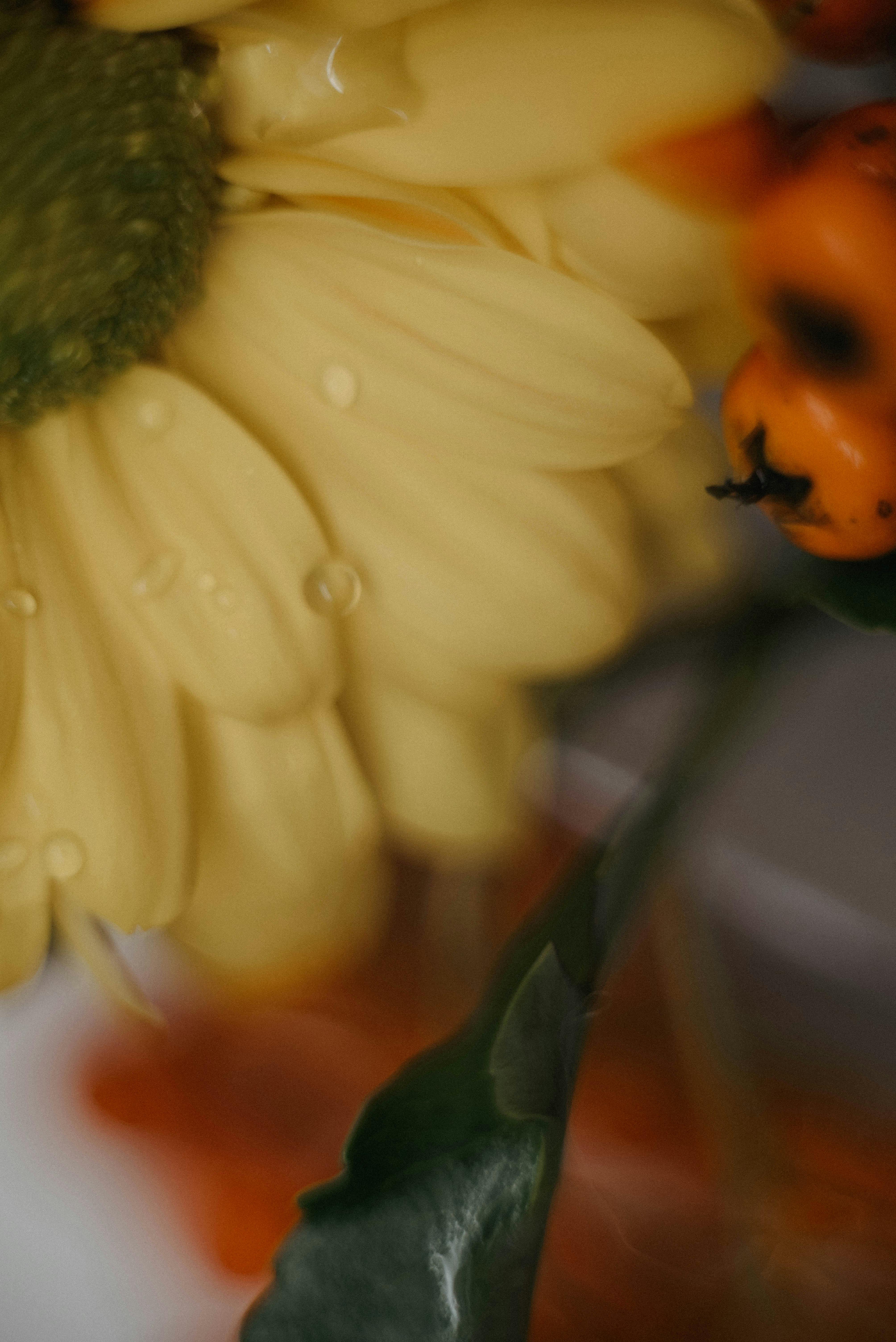 Flower Generic Photos, Download The BEST Free Flower Generic Stock ...