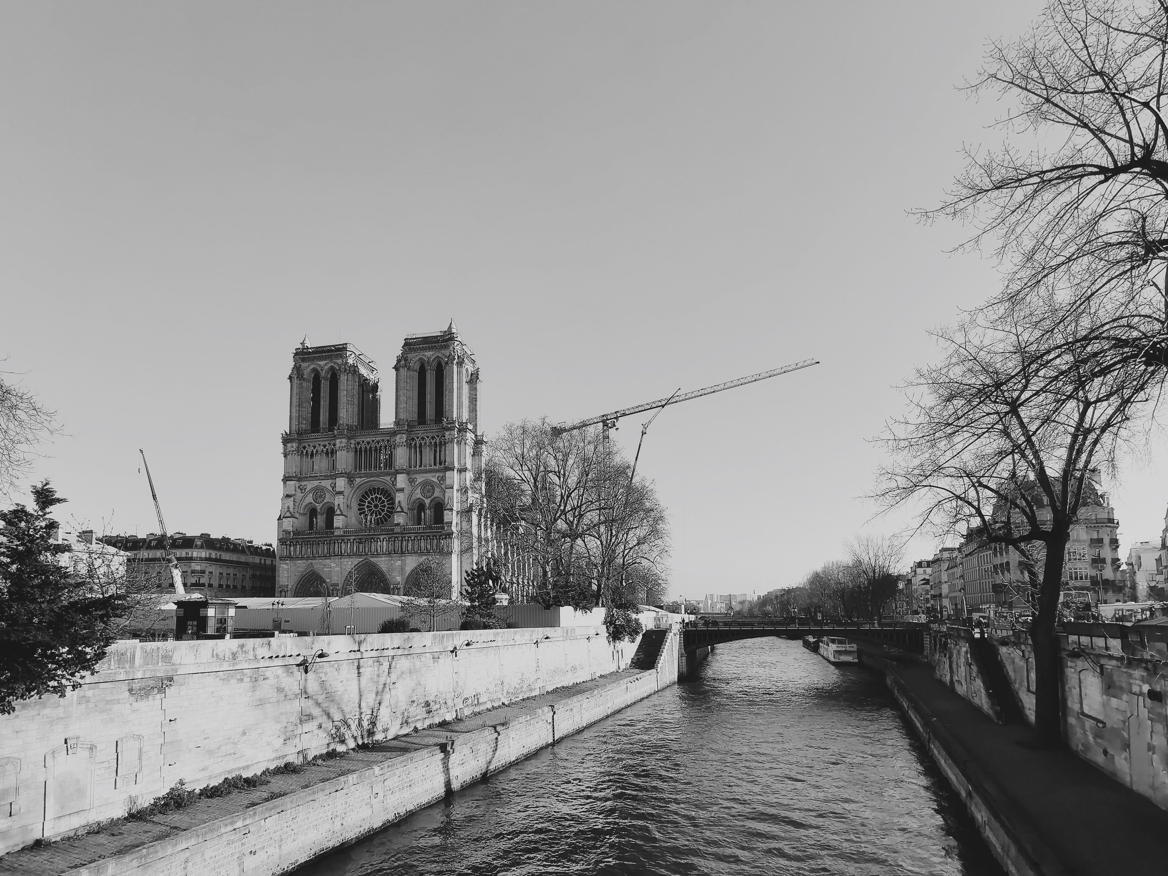 Norte Dame in Paris · Free Stock Photo