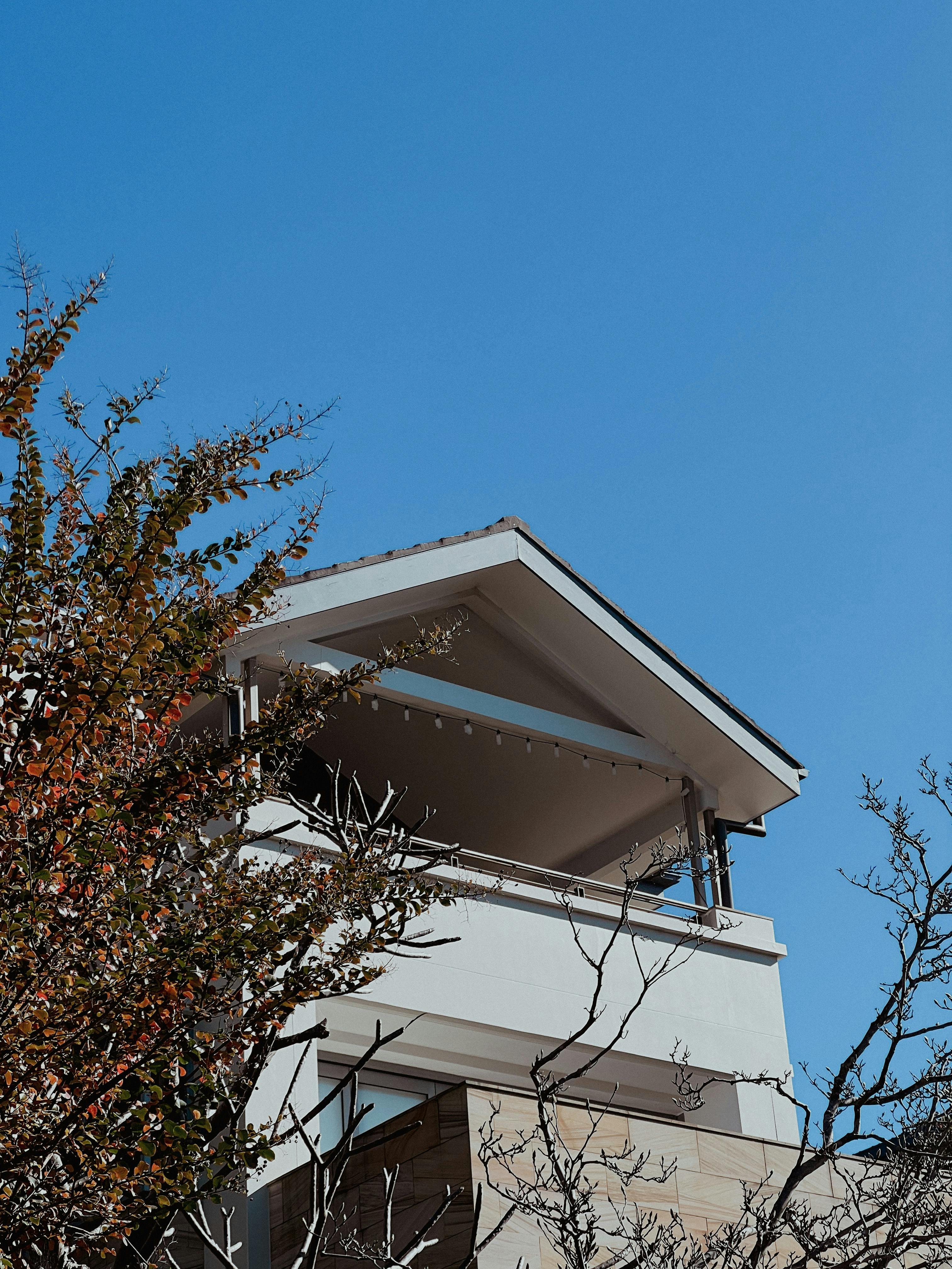 Bachelor House Photos, Download The BEST Free Bachelor House Stock ...