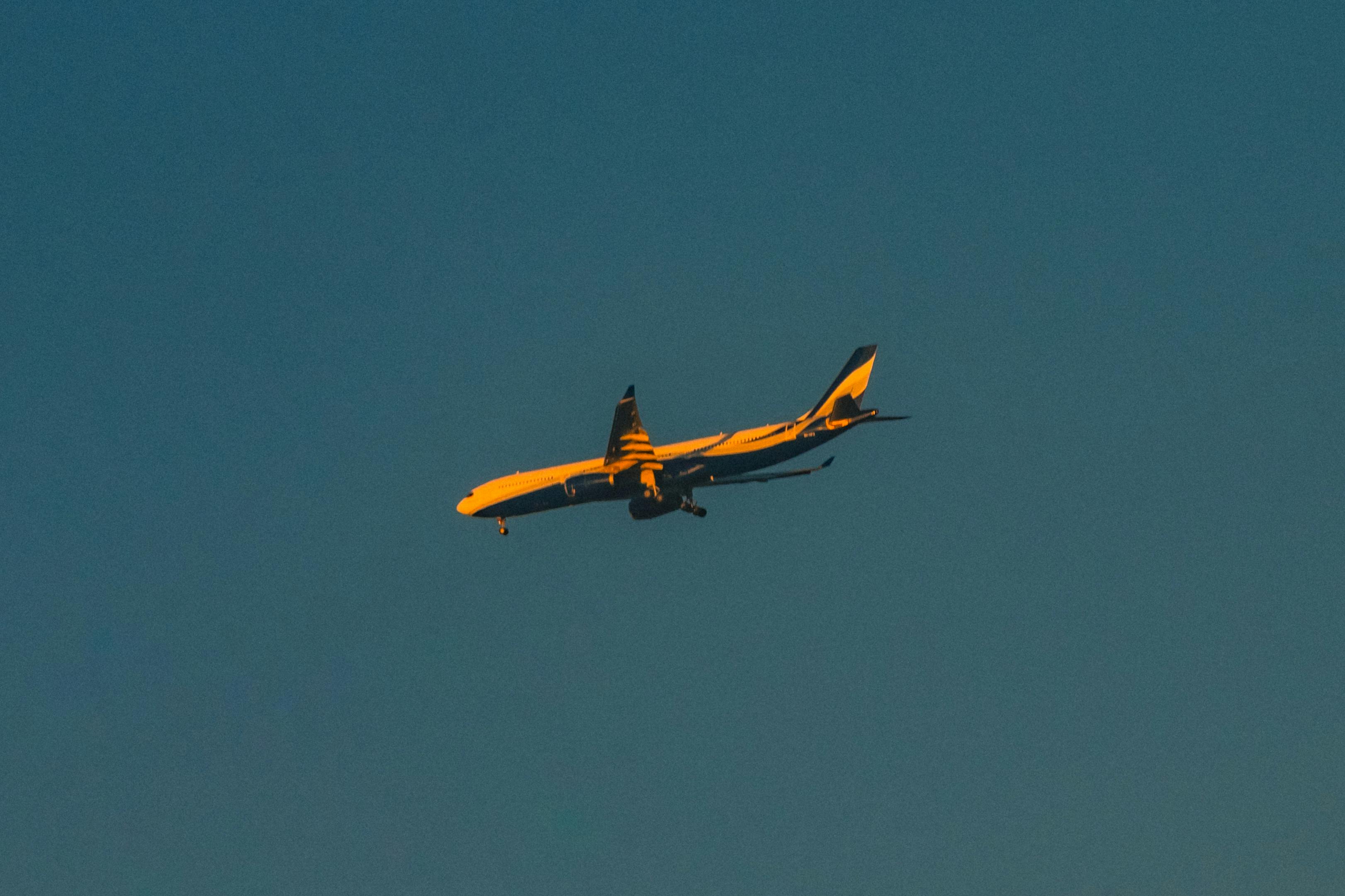 David Lucio - Photography