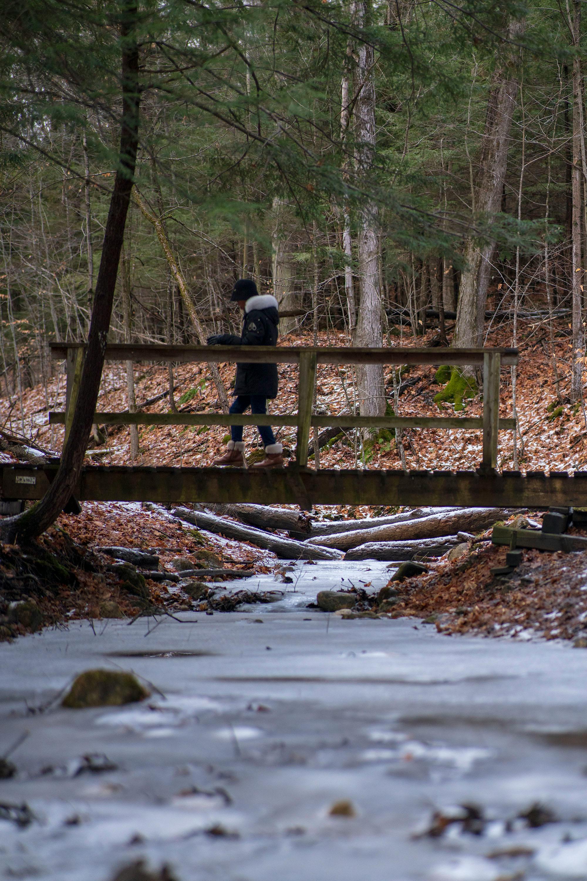 Person Crossing a Wooden Bridge · Free Stock Photo
