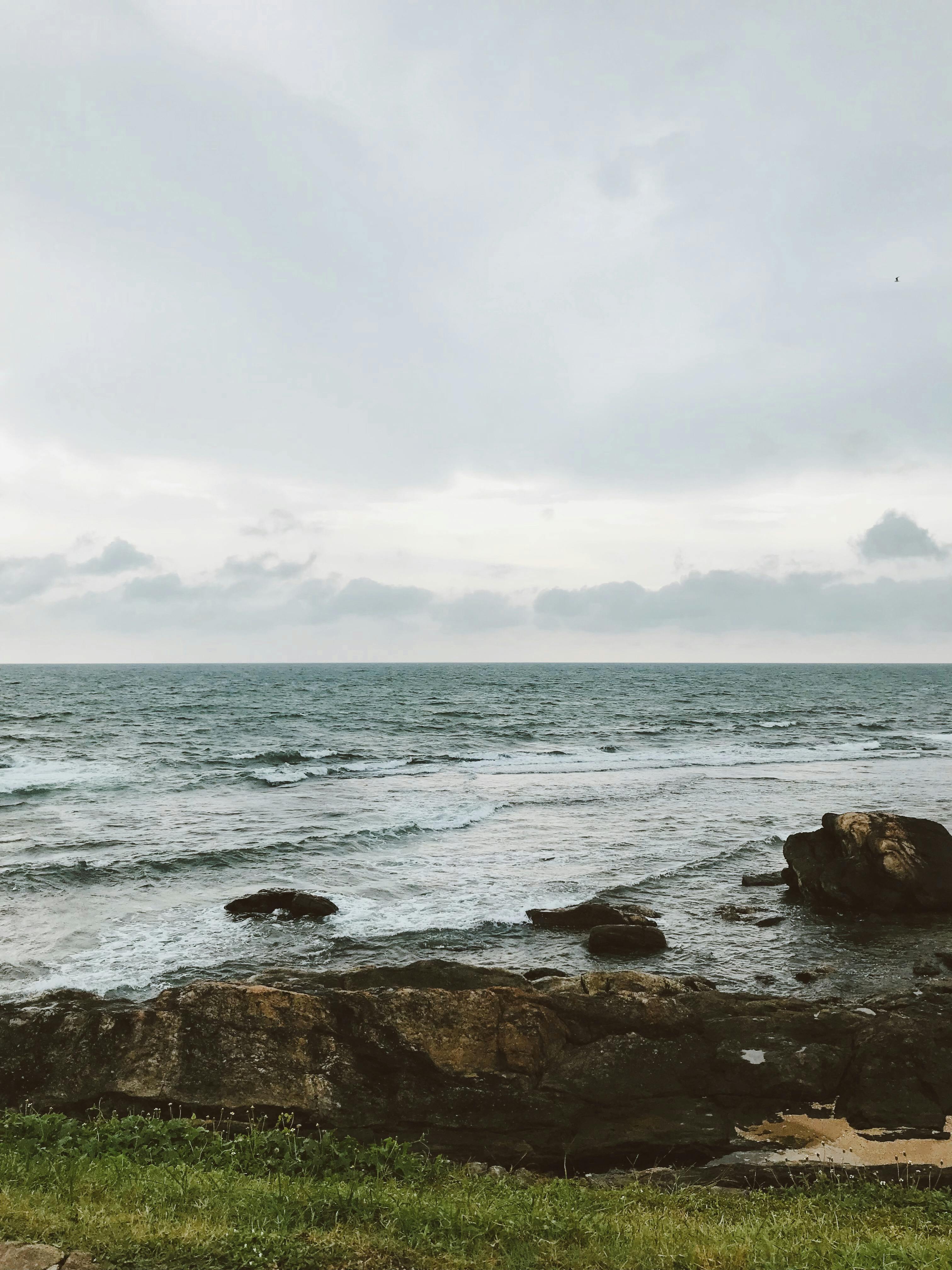 Dineth Sachintha - Photography