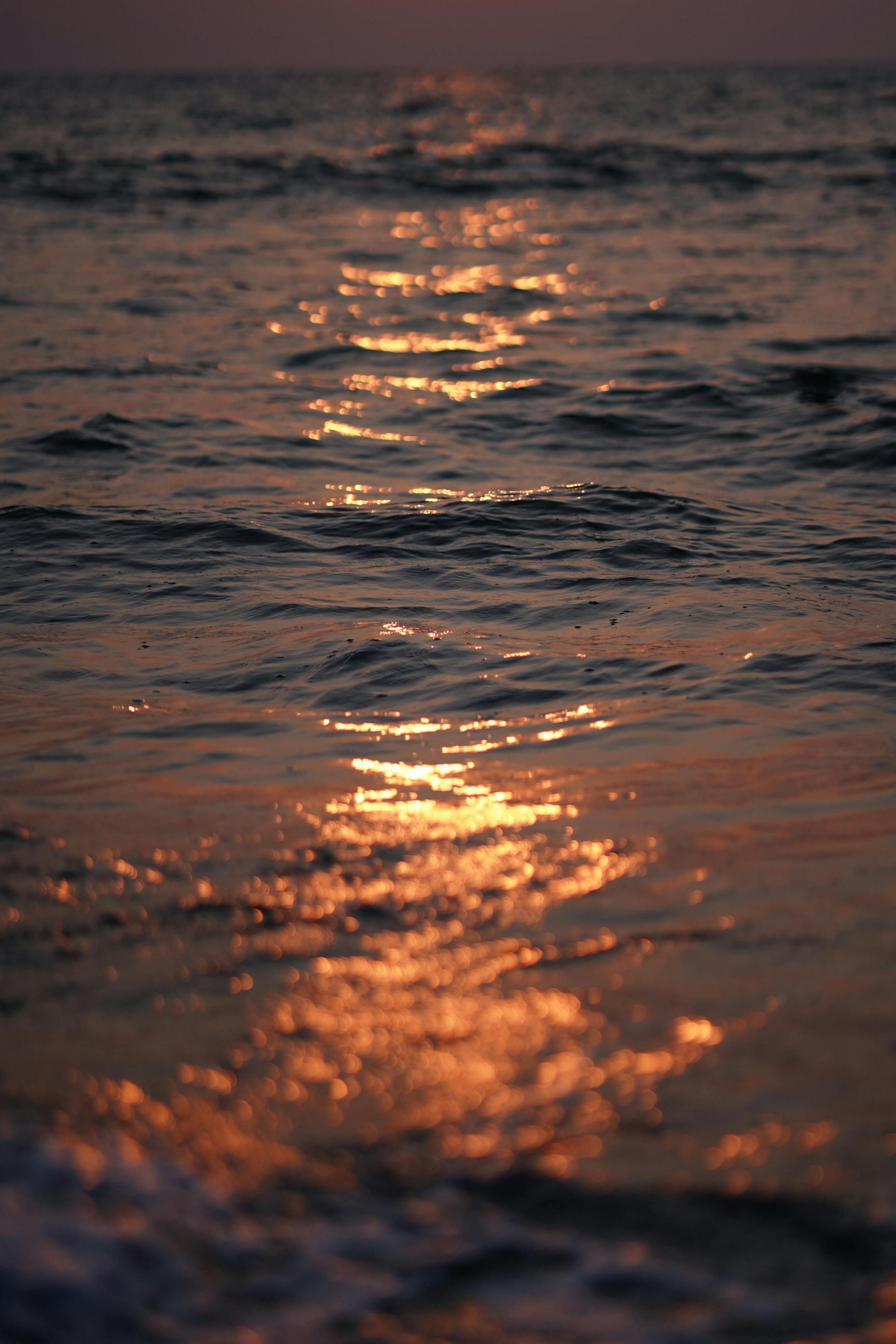 Shining Sea Ripples · Free Stock Photo